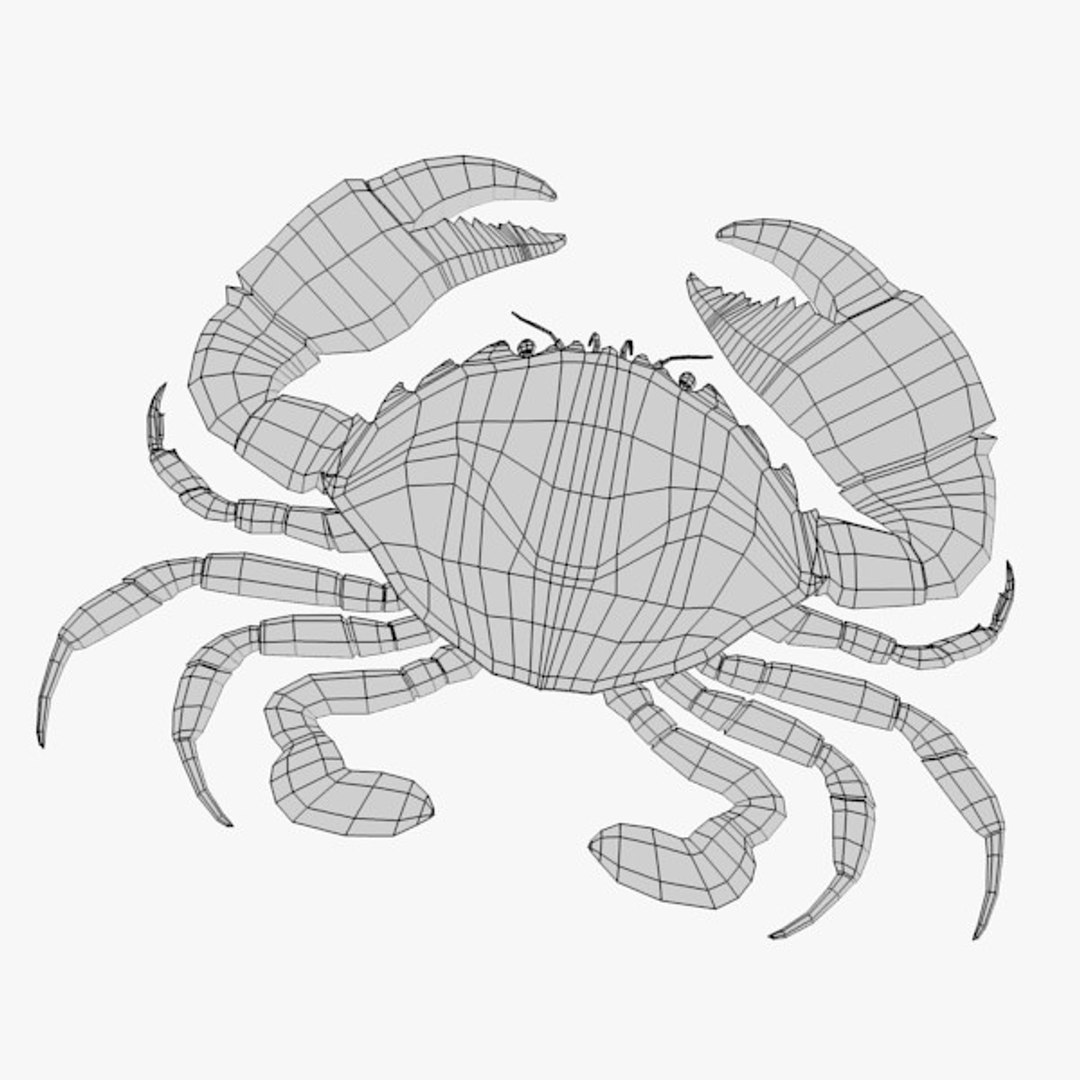 3d crabs model