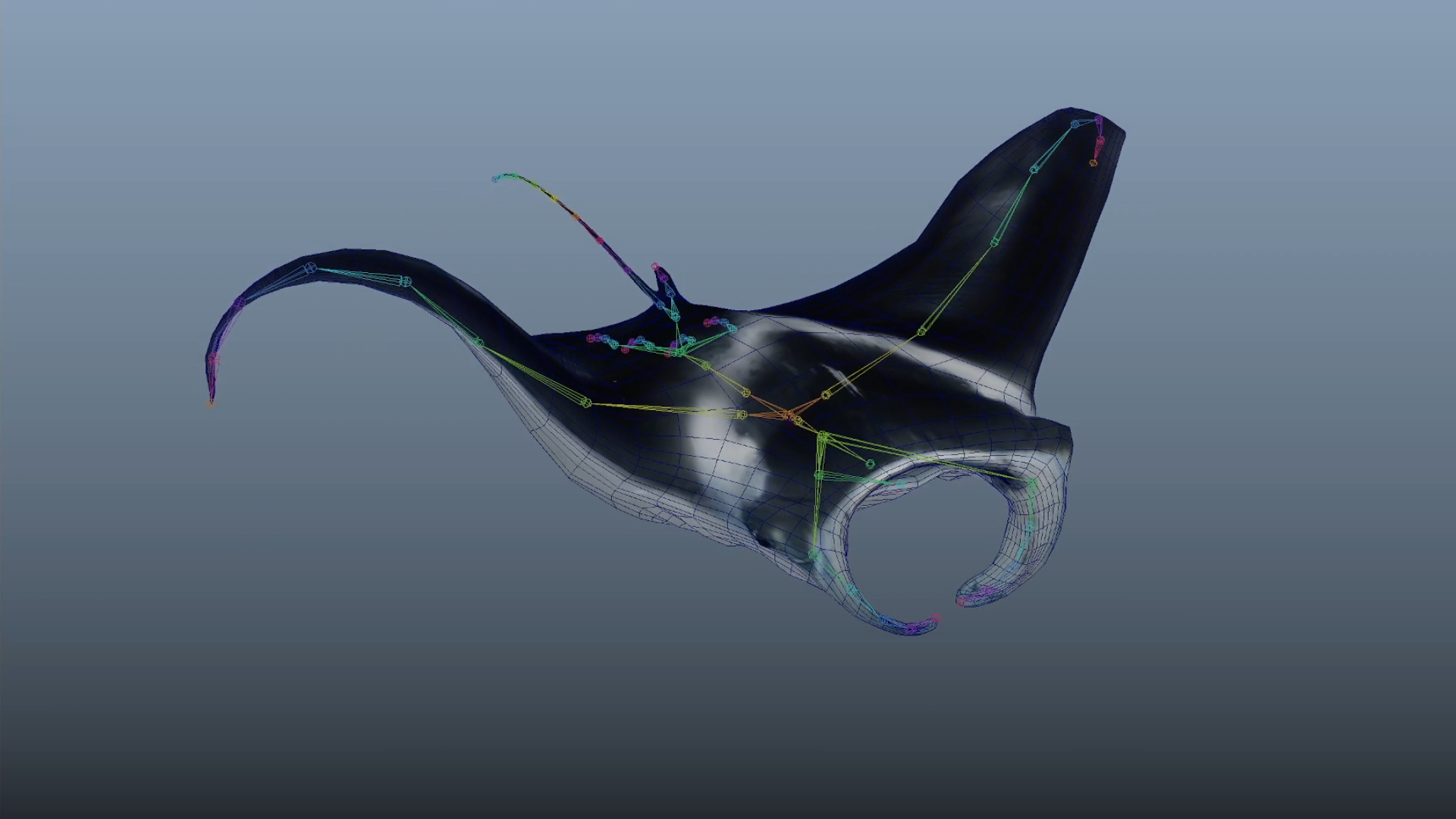 Giant Manta Ray 3D Model - TurboSquid 2240027