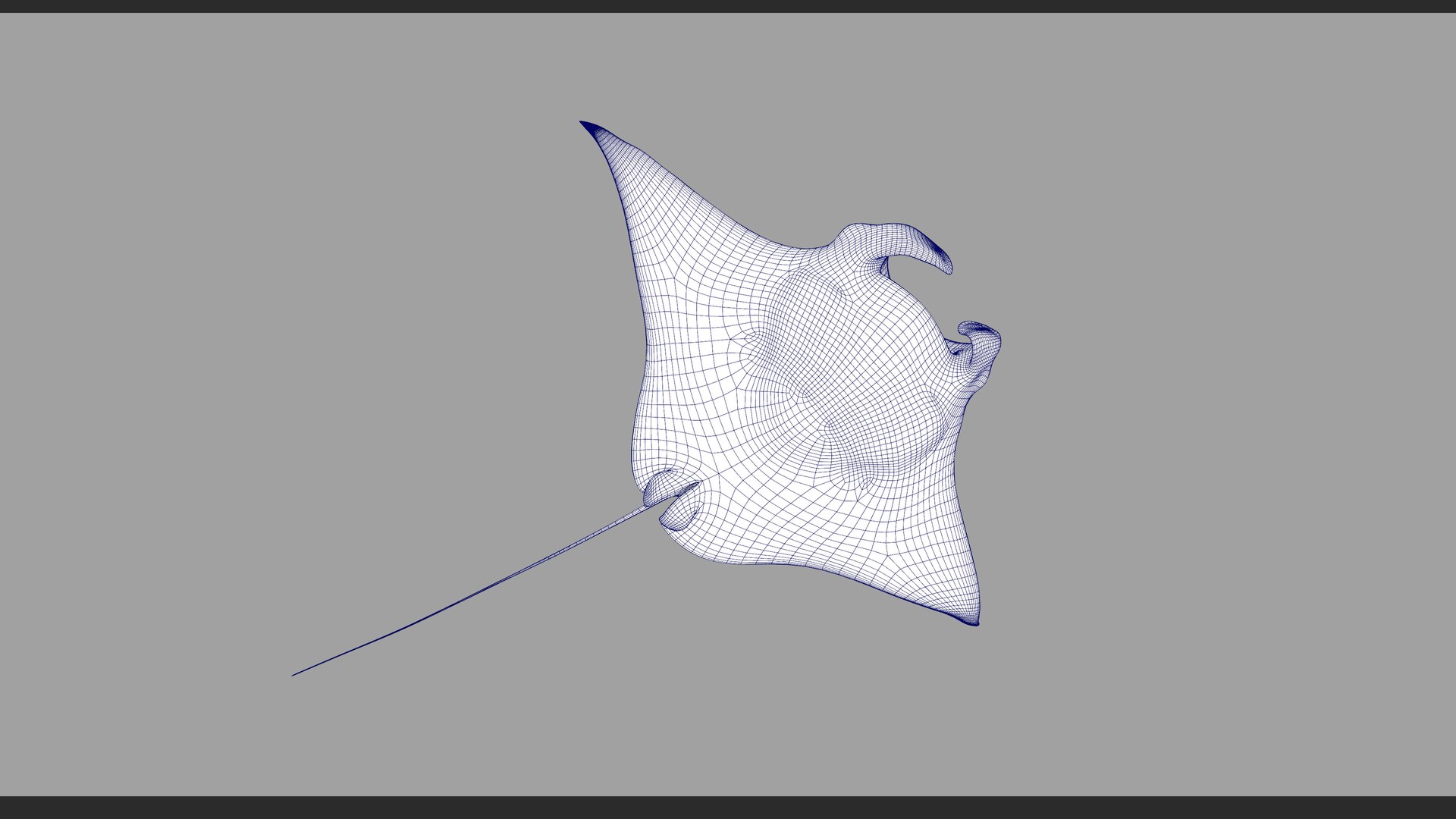 Giant Manta Ray 3D Model - TurboSquid 2240027
