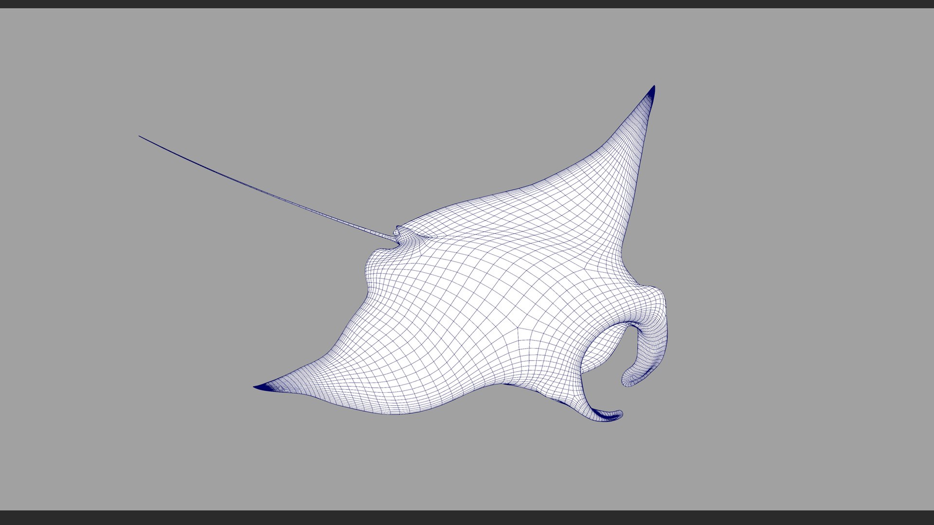 Giant Manta Ray 3D Model - TurboSquid 2240027