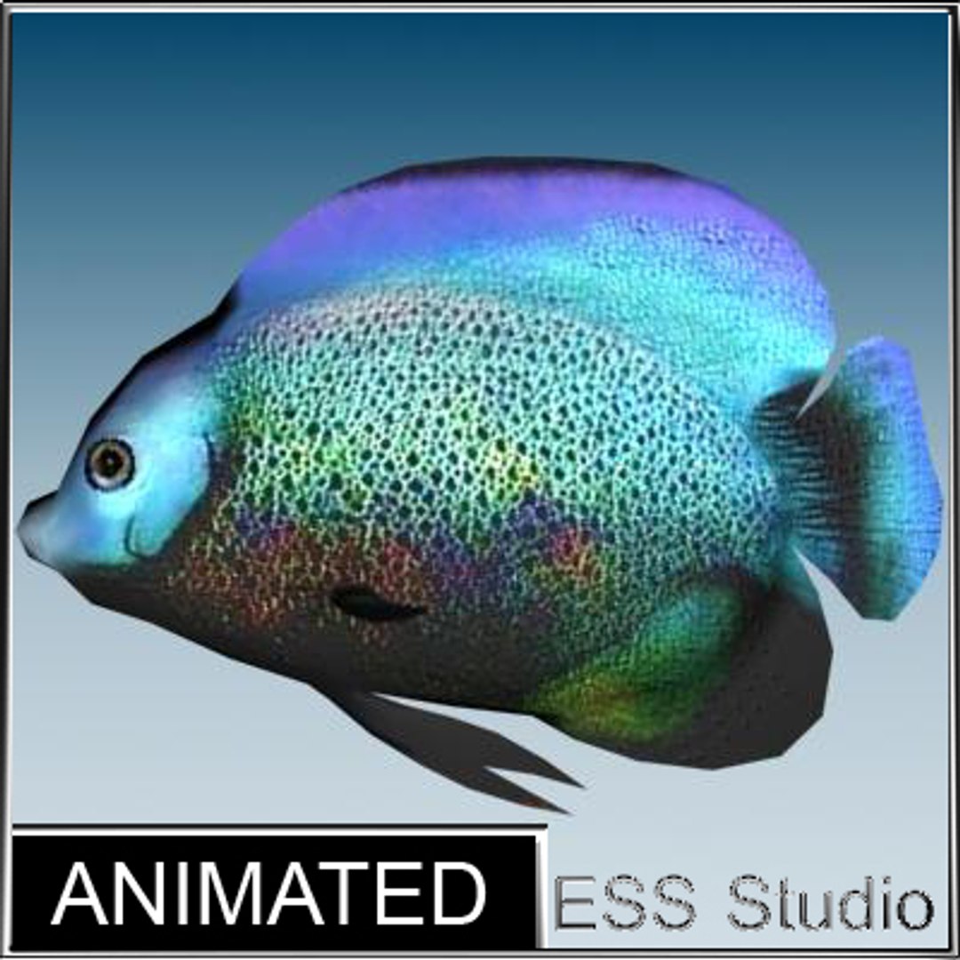 3ds Max Tropical Fishes