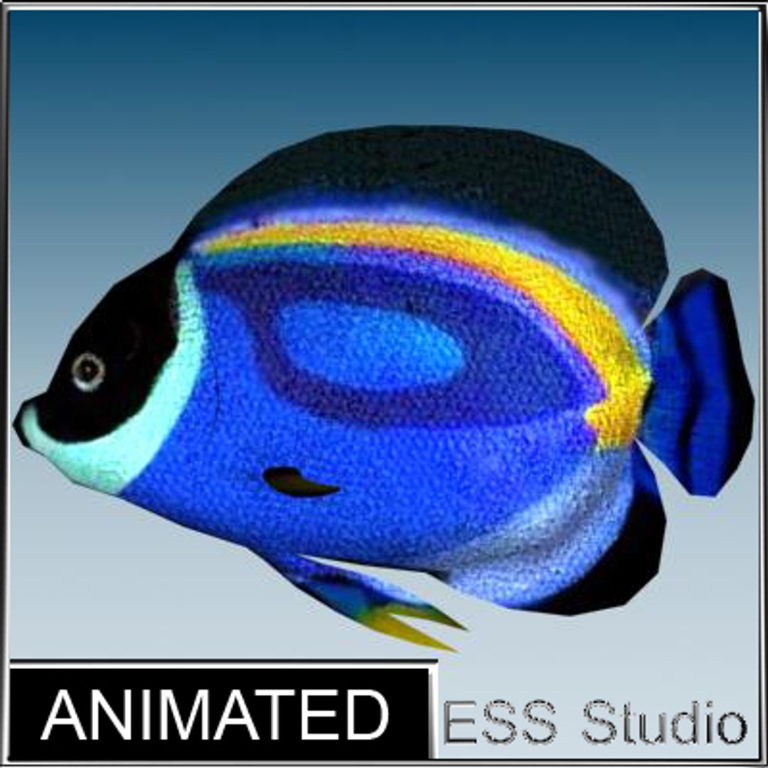 3ds Max Tropical Fishes