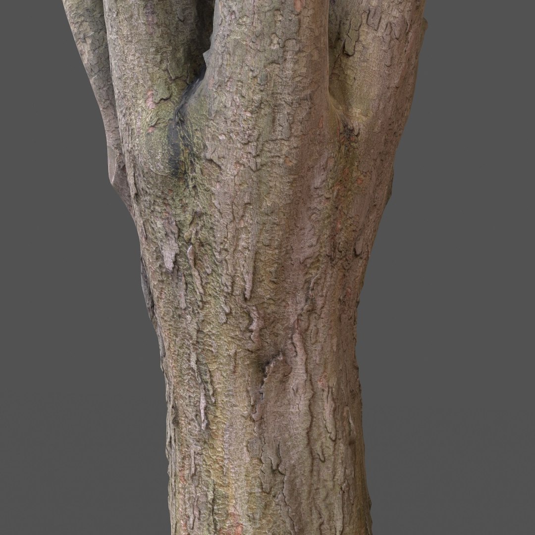 Tree Asset 3d Model