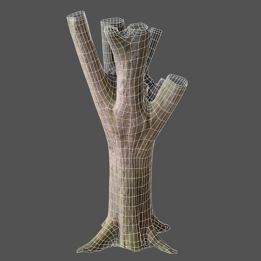 Tree Asset 3d Model