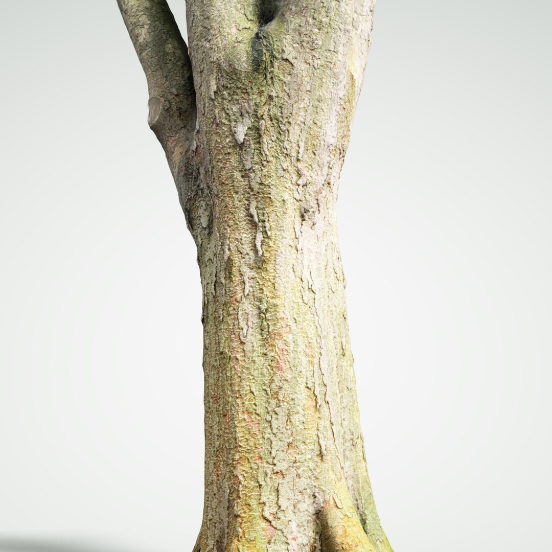 Tree Asset 3d Model