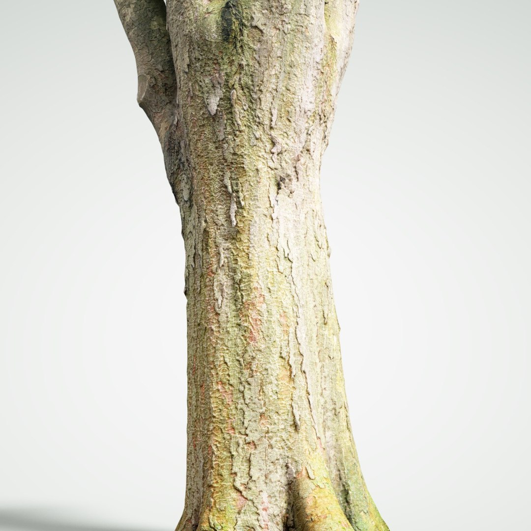 Tree Asset 3d Model