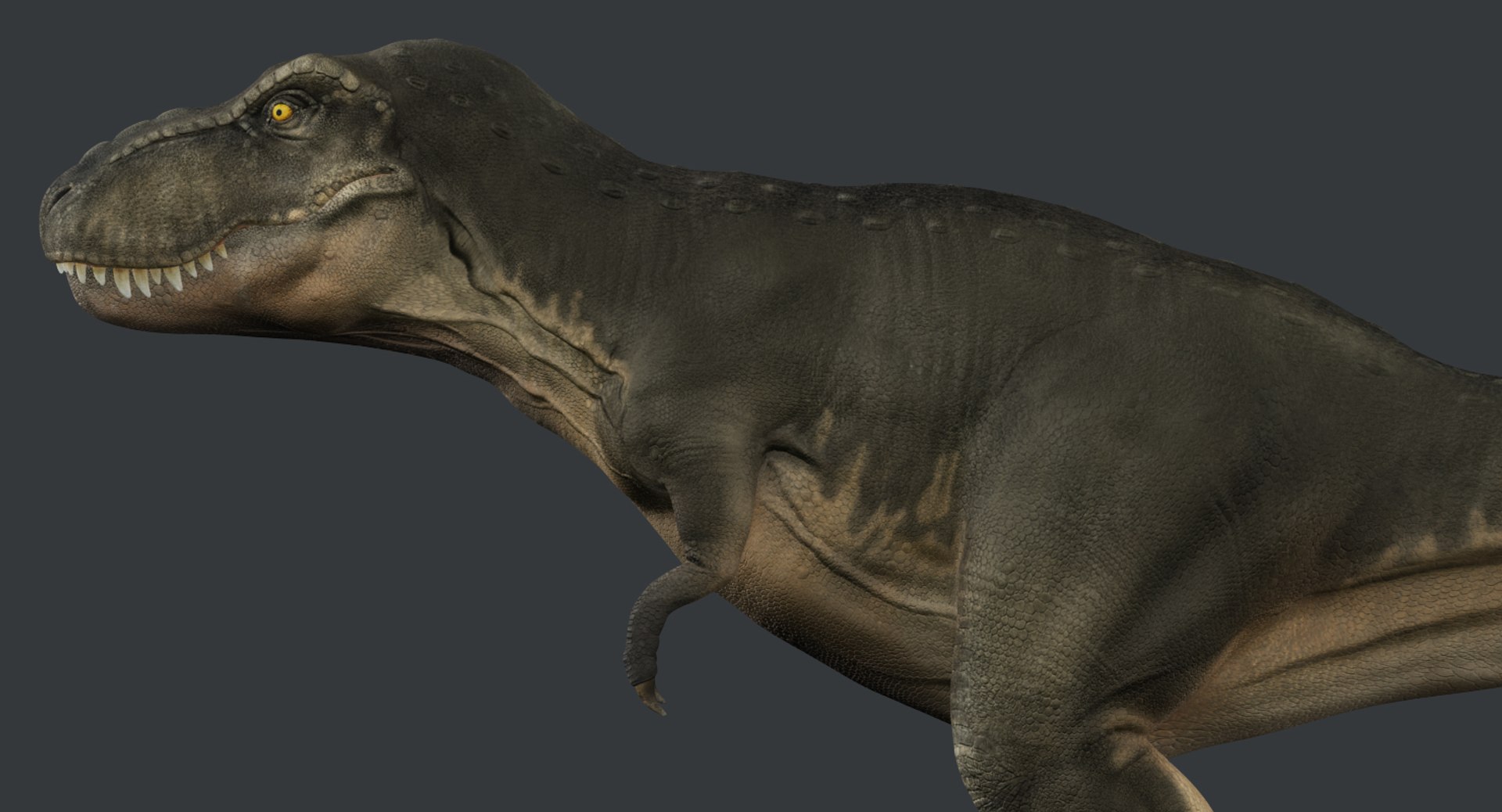 maya tyrannosaurus rex trex