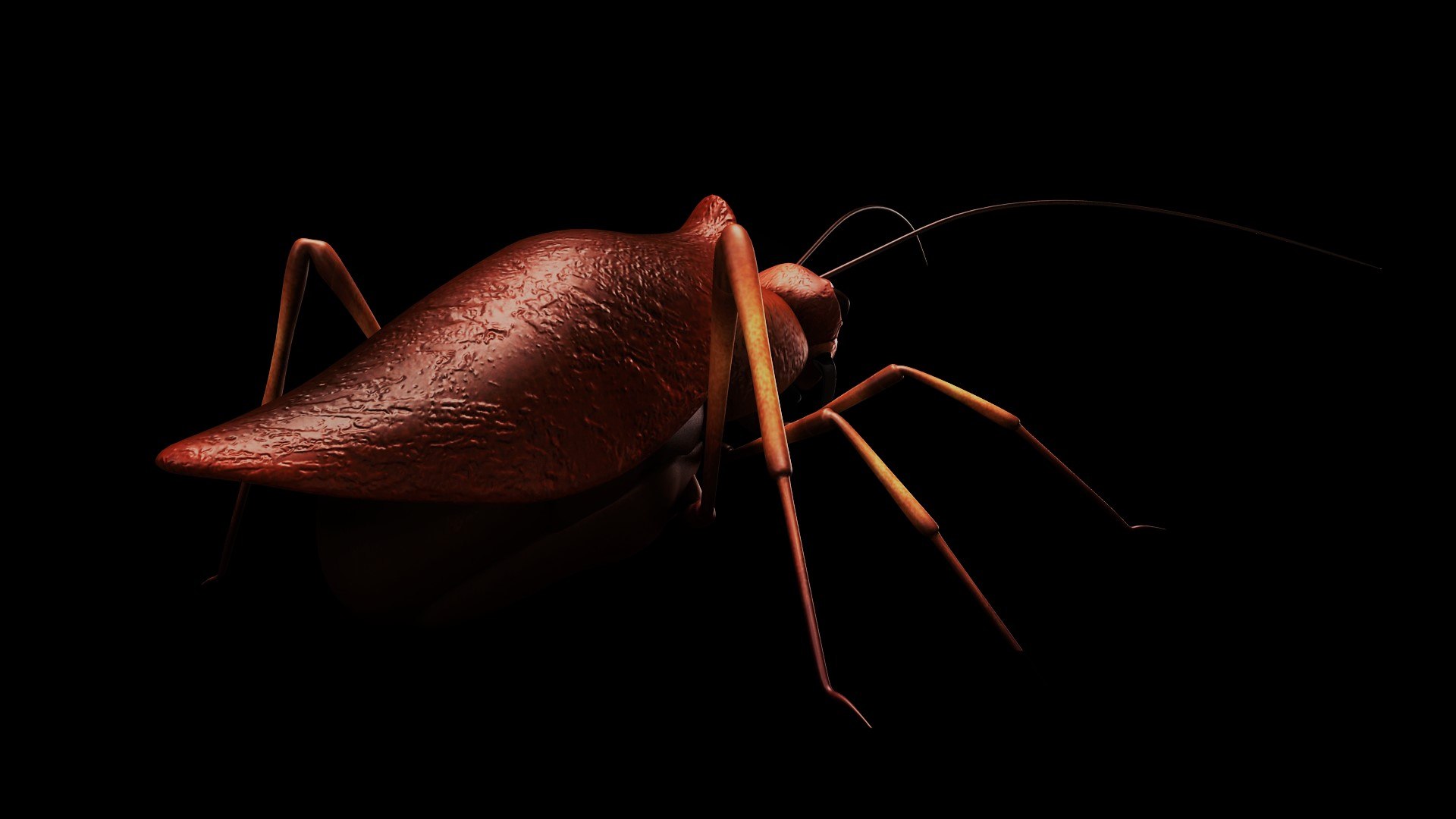 rigged bug insect 3d model