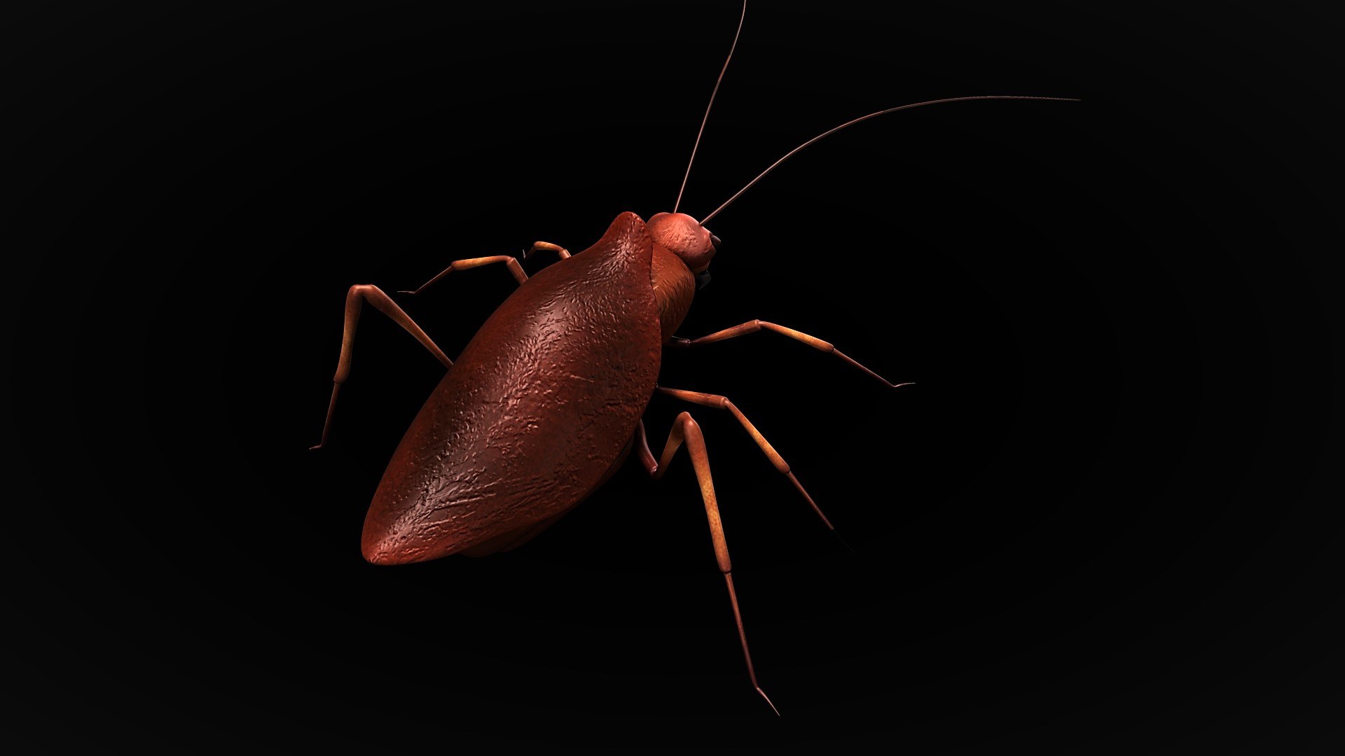 rigged bug insect 3d model
