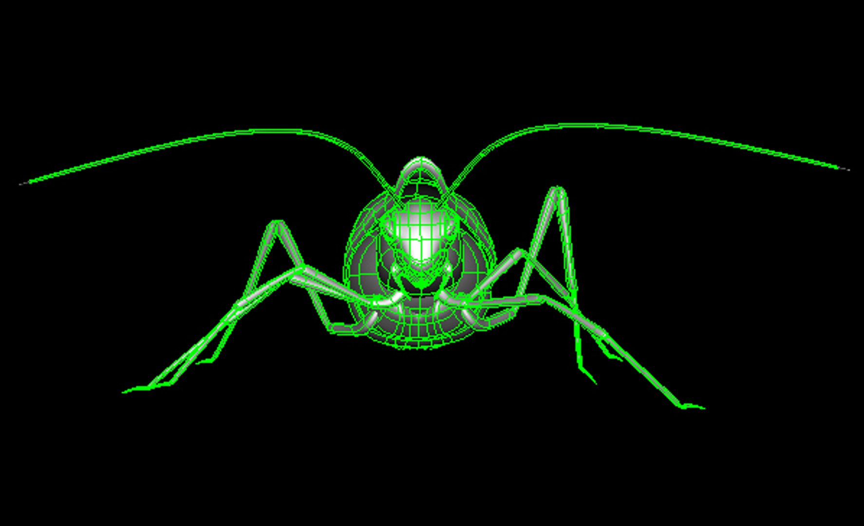 rigged bug insect 3d model