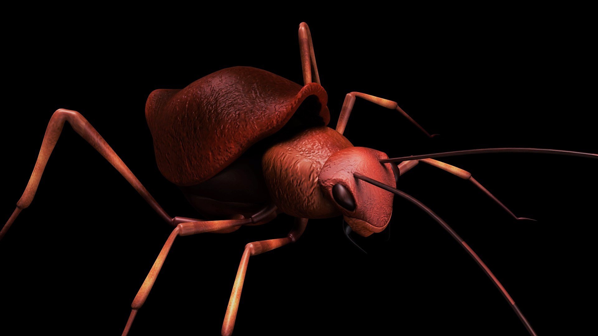 rigged bug insect 3d model