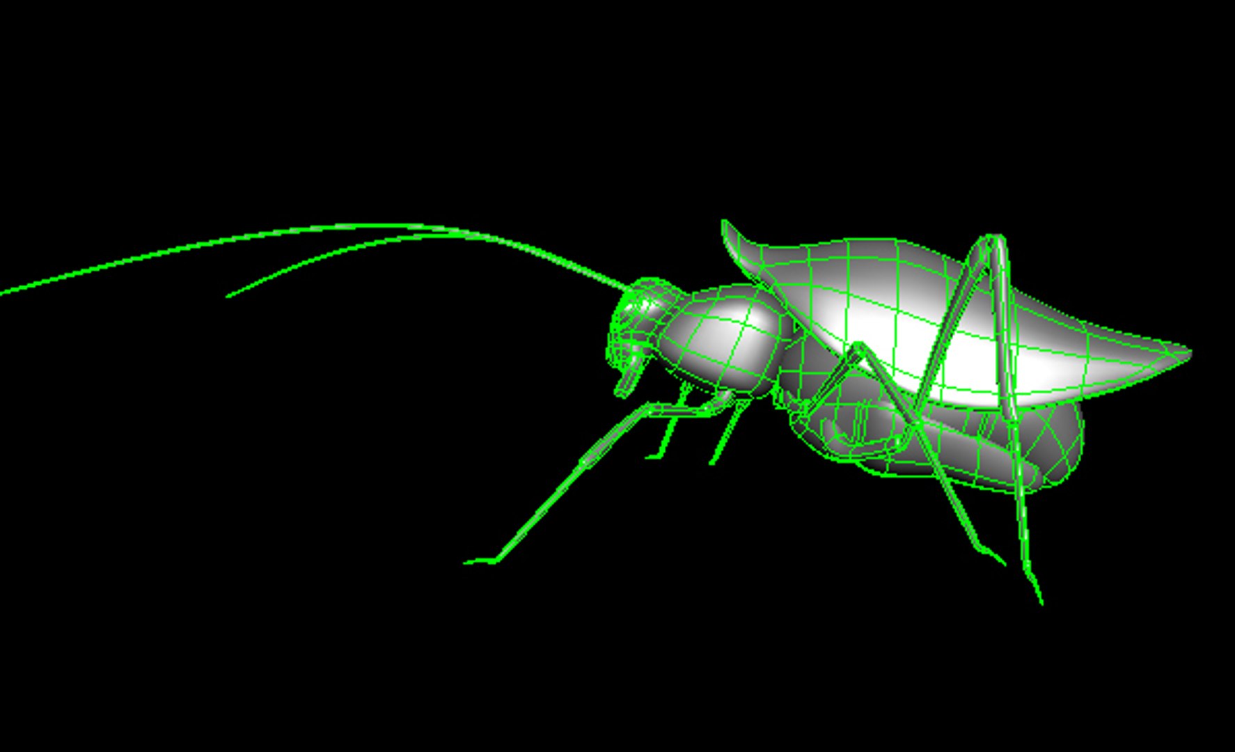 rigged bug insect 3d model