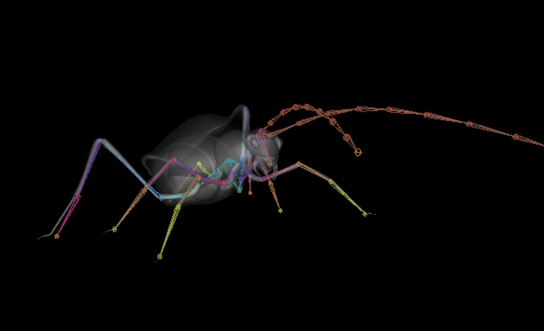 rigged bug insect 3d model