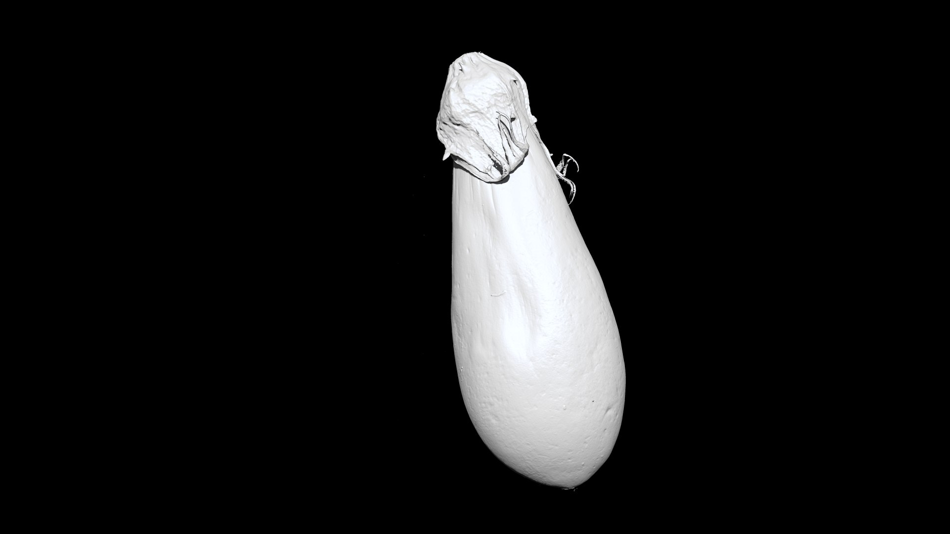 Eggplant 3D CT Scan Model Decimate 50 Percent Model - TurboSquid 1933478
