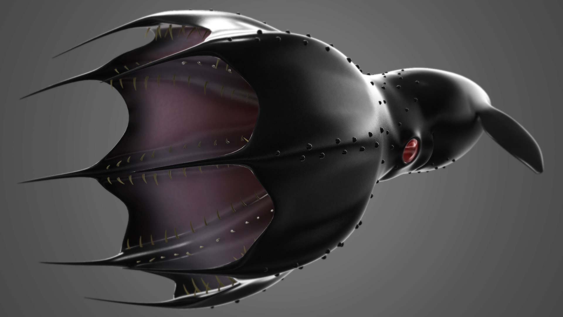 Vampire Squid 3D Model - TurboSquid 1582459
