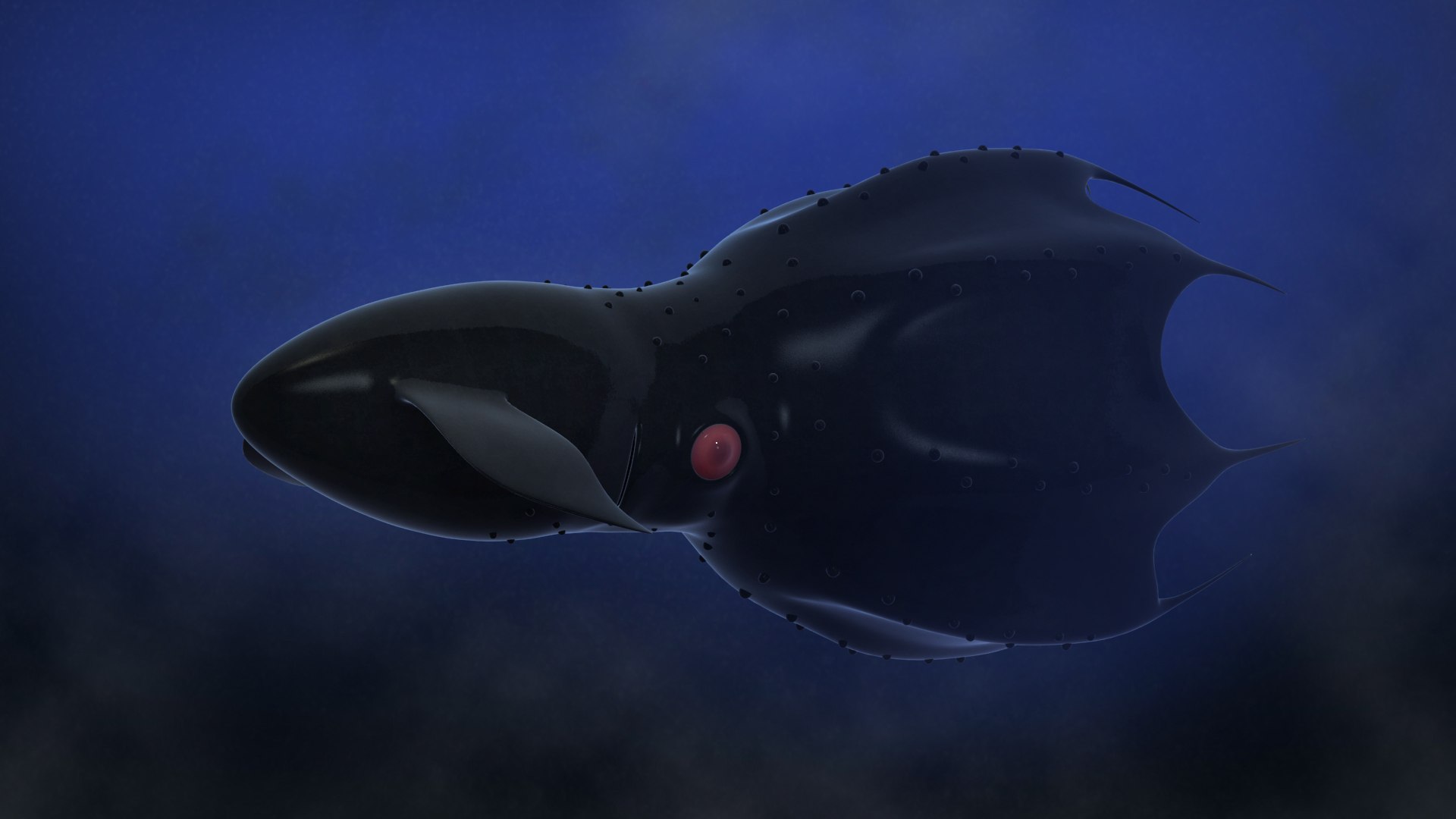 Vampire Squid 3D Model - TurboSquid 1582459