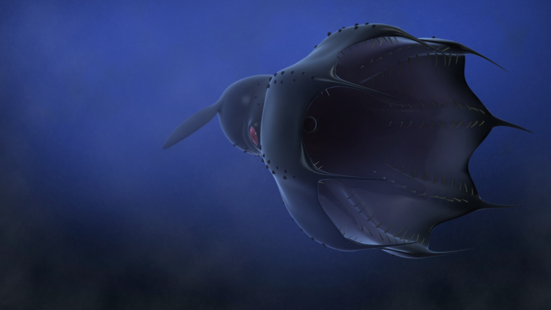 Vampire Squid 3D Model - TurboSquid 1582459