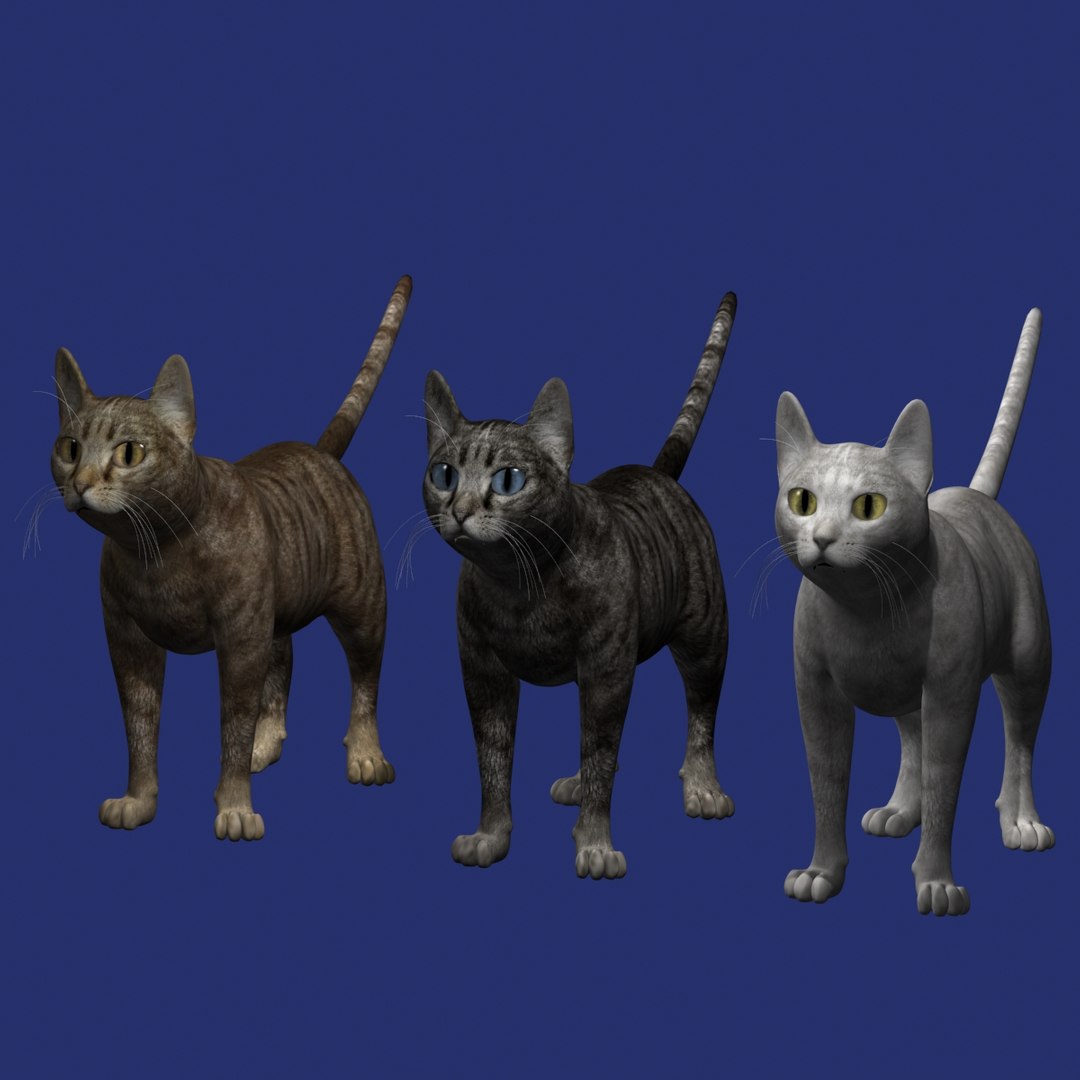max rigged cat