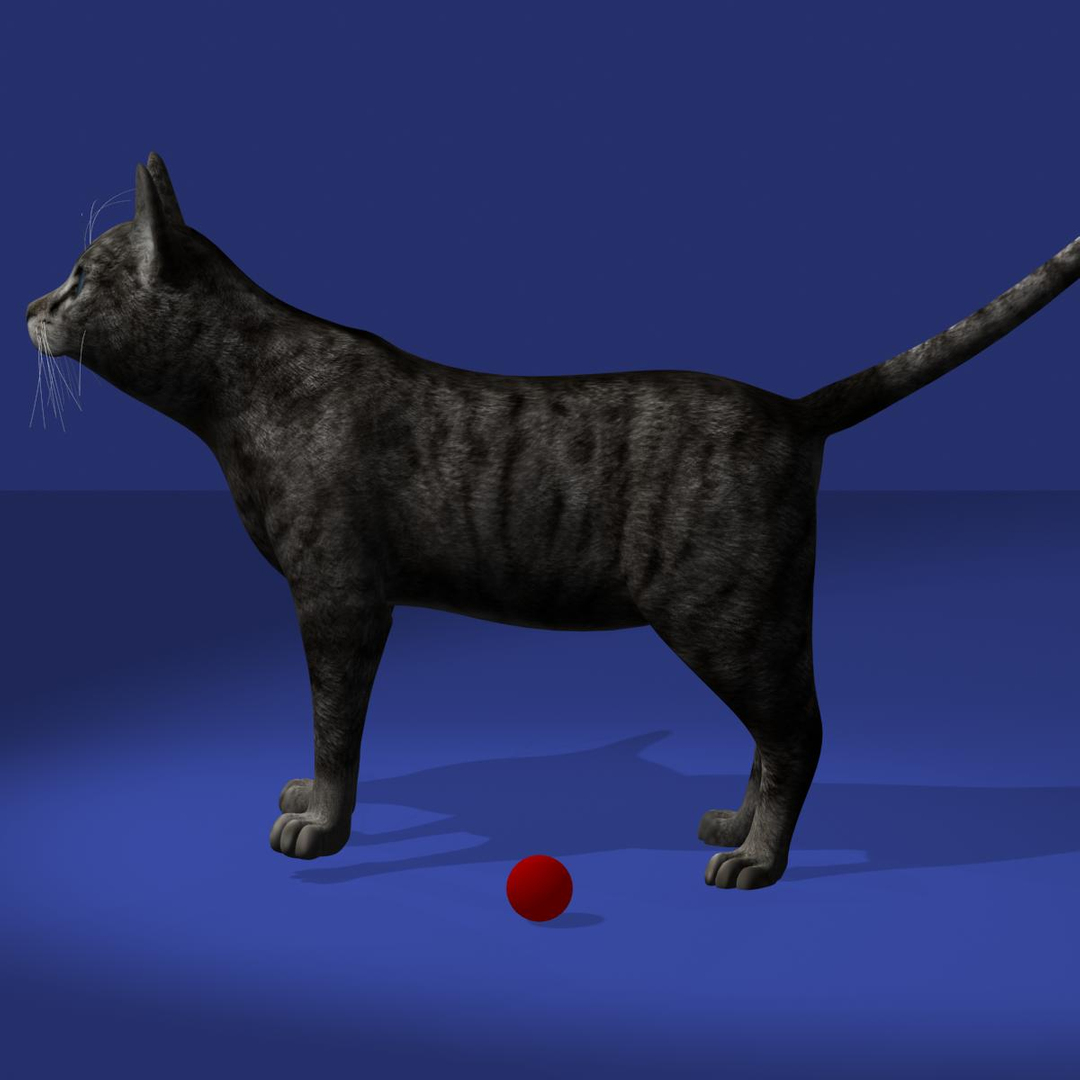 max rigged cat