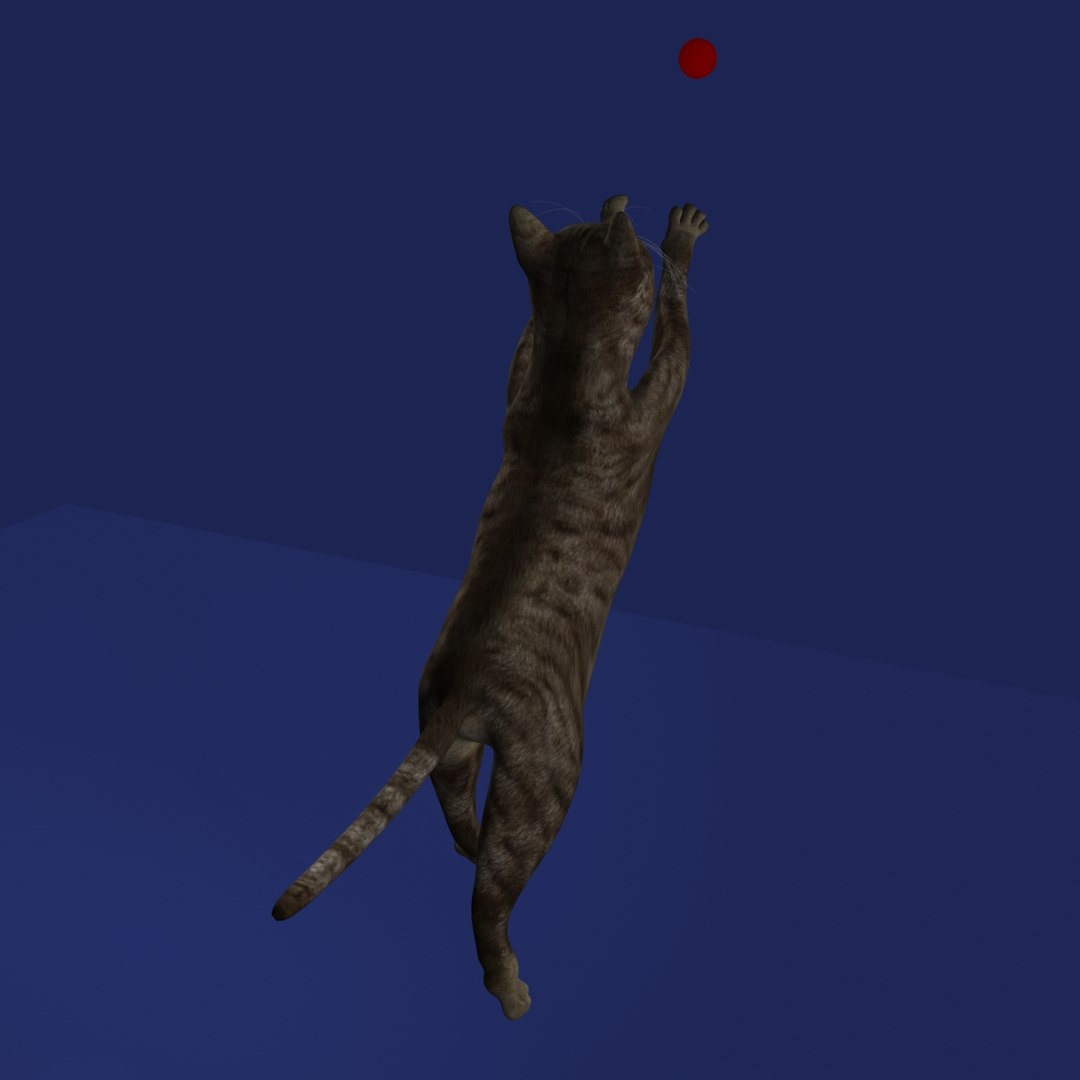 max rigged cat