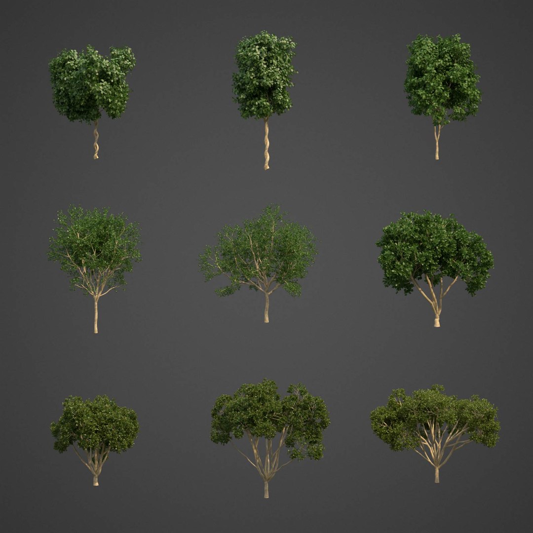3D Tree Nature - TurboSquid 1679669