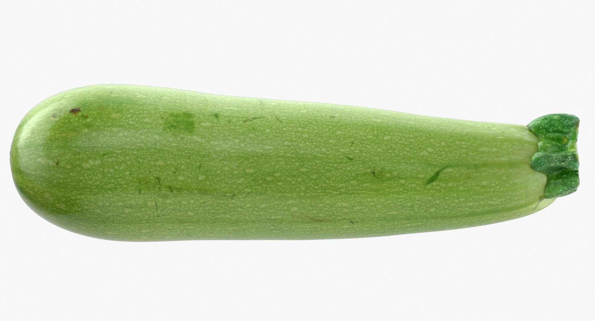 3D Model Zucchini Cousa Squash 03 - TurboSquid 1479069