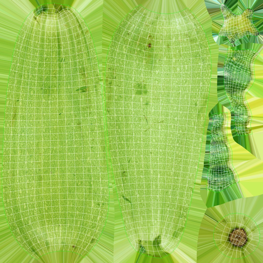 3D model zucchini cousa squash 03 - TurboSquid 1479069