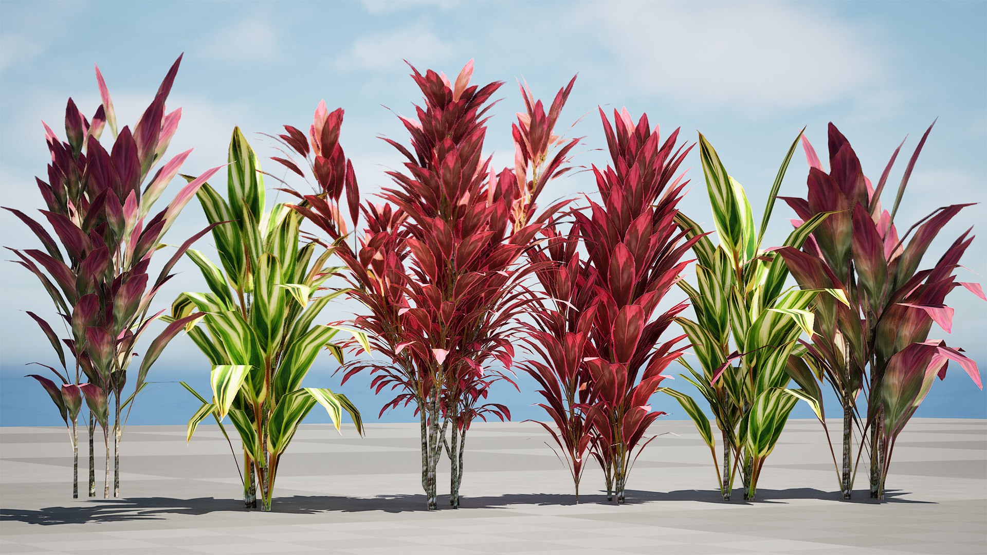 3D Model Broadleaf Evergreen Shrub 3D Asset - TurboSquid 2270749