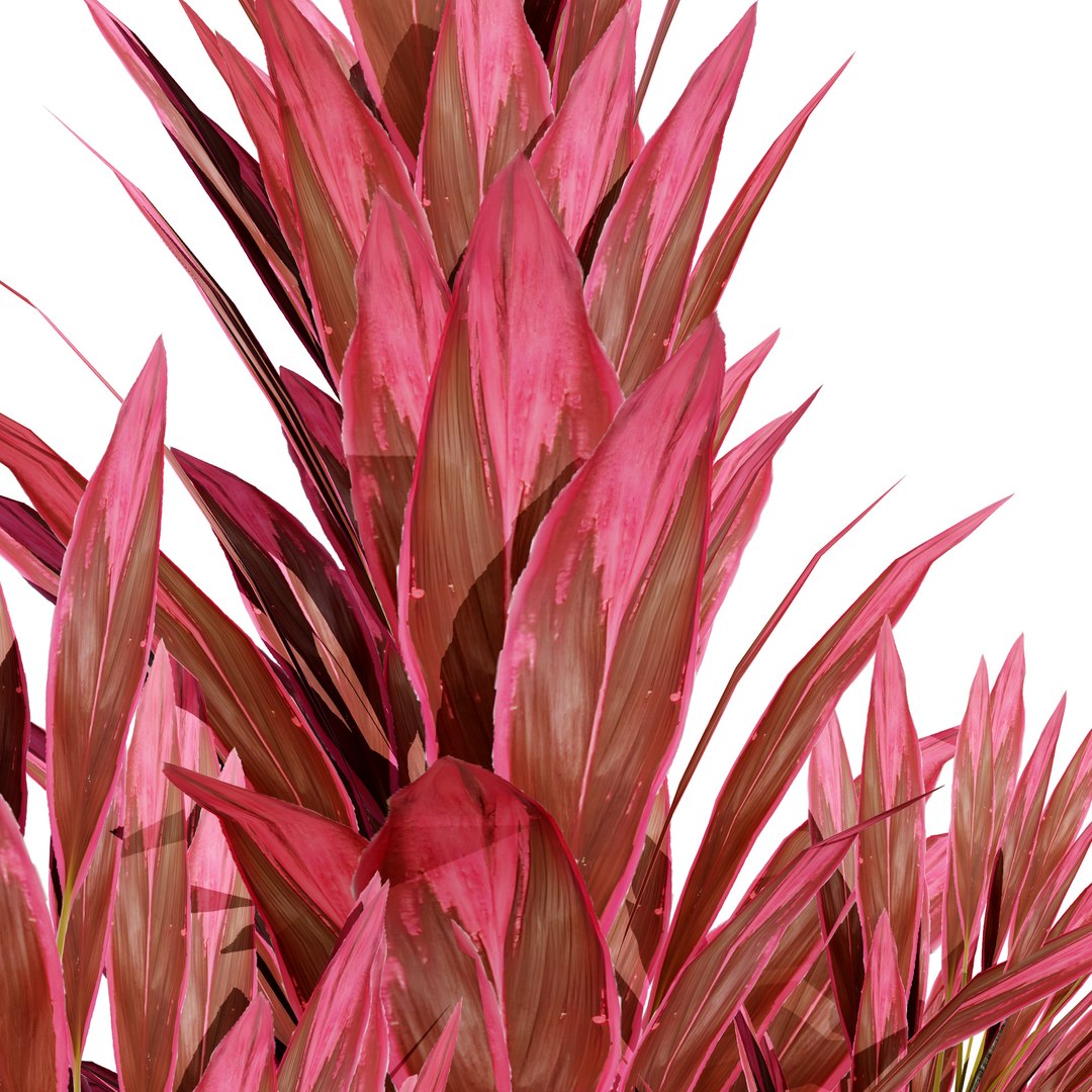 3D Model Broadleaf Evergreen Shrub 3D Asset - TurboSquid 2270749