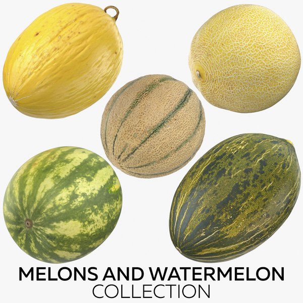 Watermelon 3D Models for Download | TurboSquid