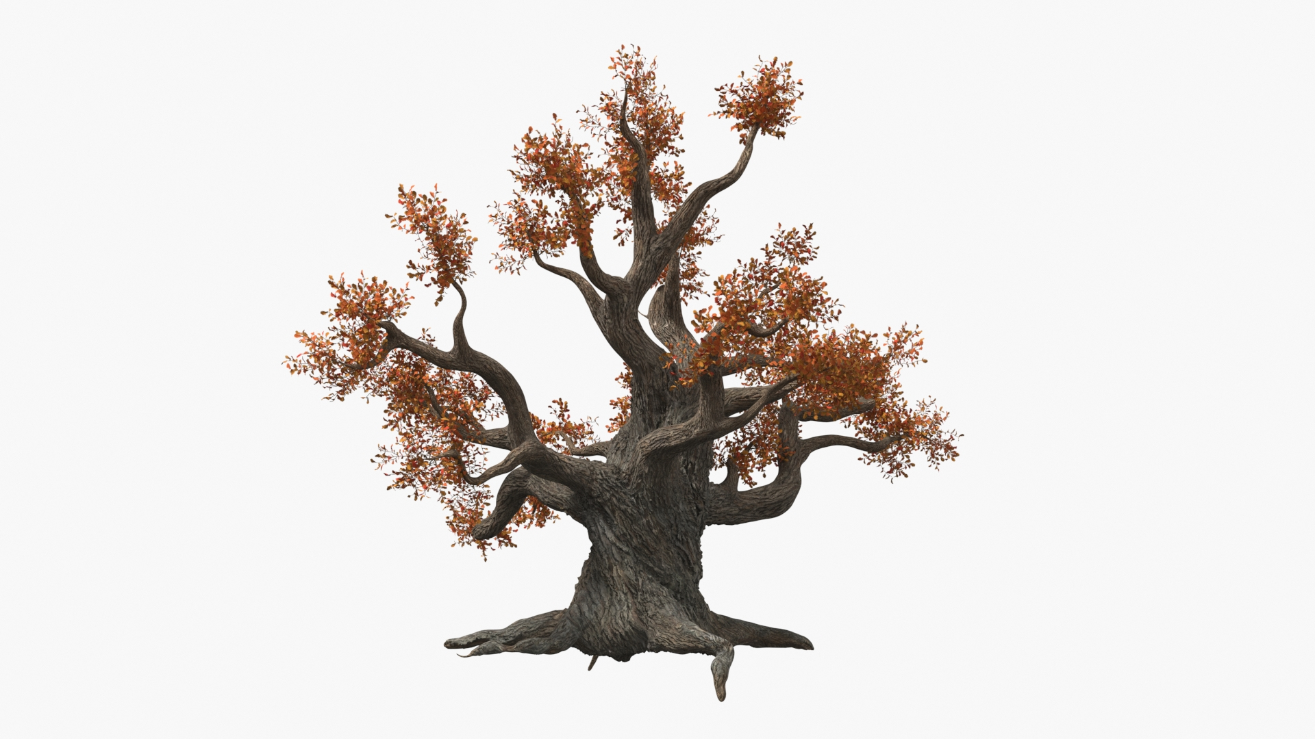 3D Model Autumn Ancient Oak Tree - TurboSquid 2365041