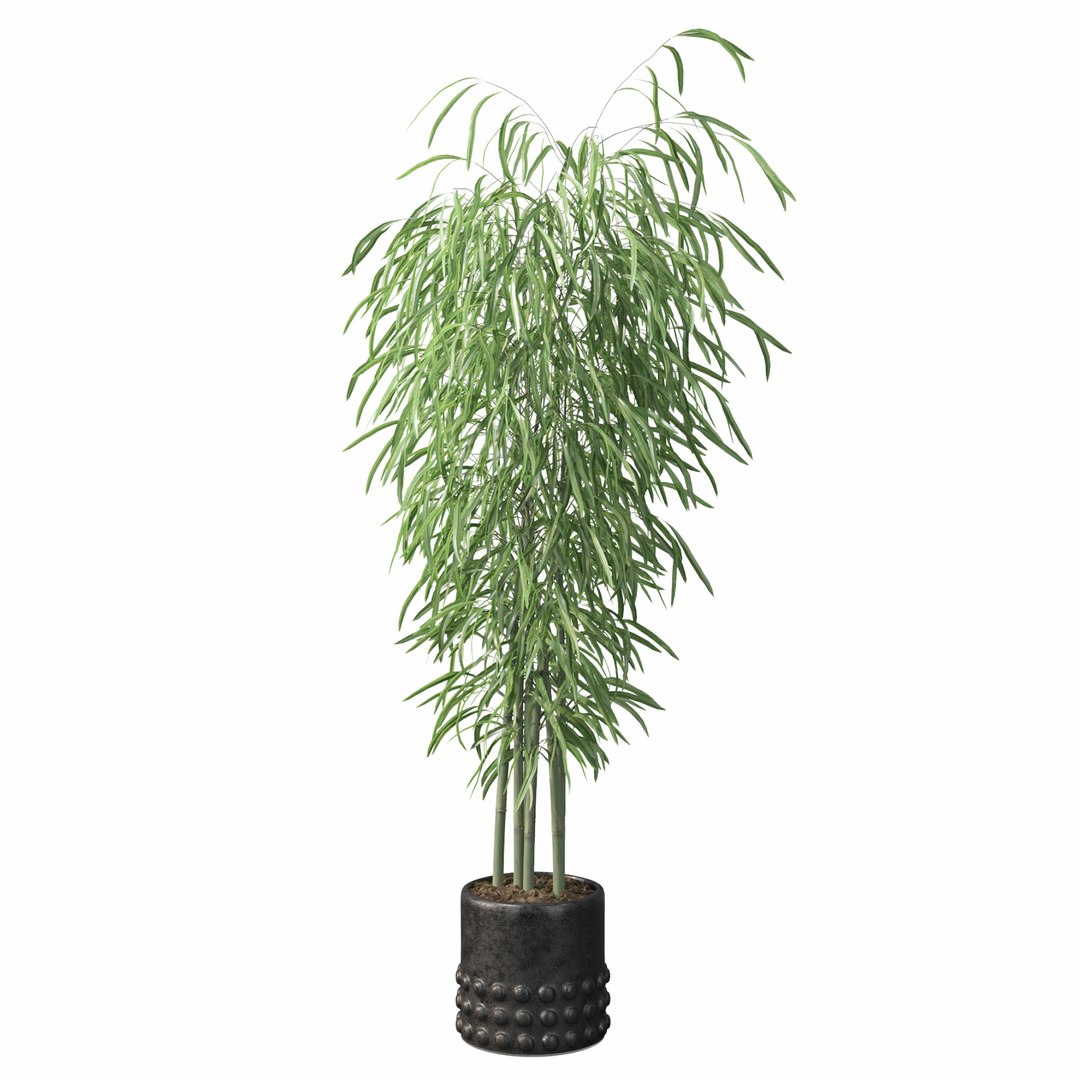 3D flower bush model - TurboSquid 1710351