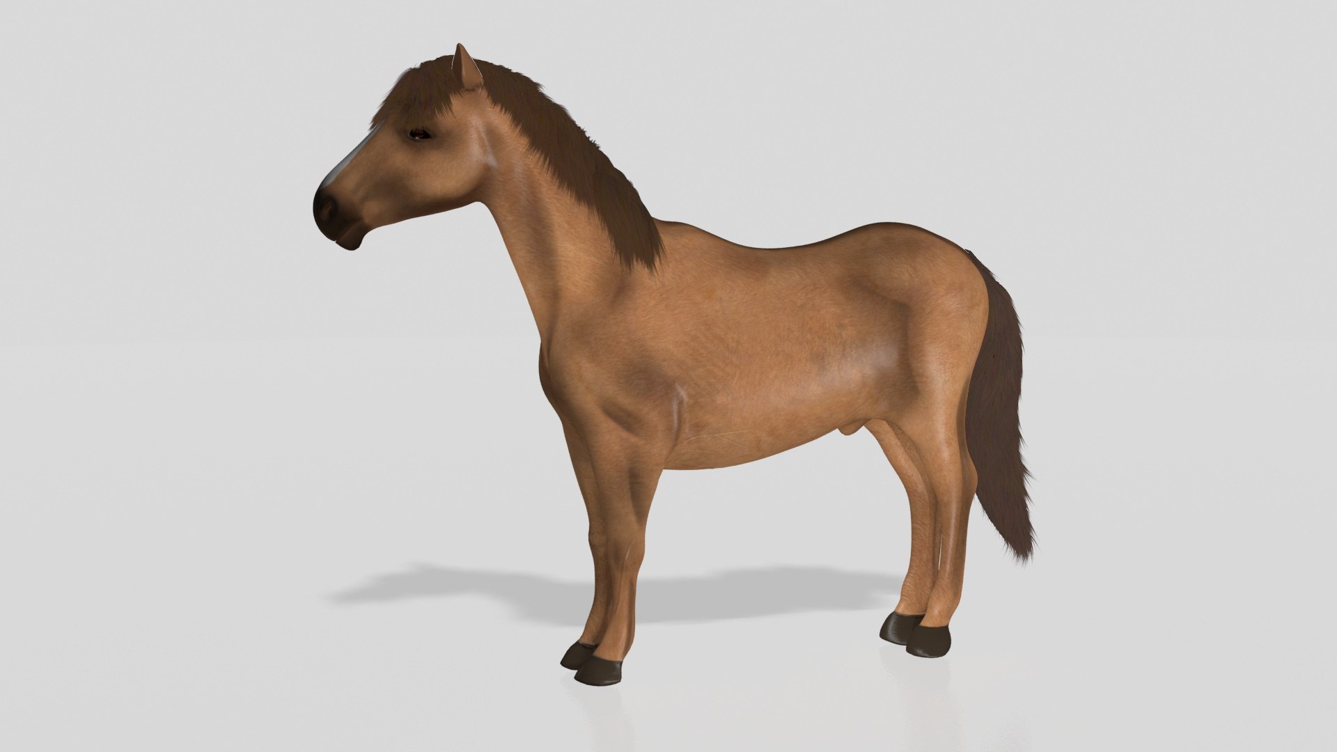 3d Model Horse
