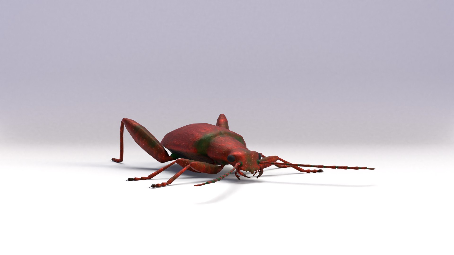 Beetles bundle 3D model - TurboSquid 1714177