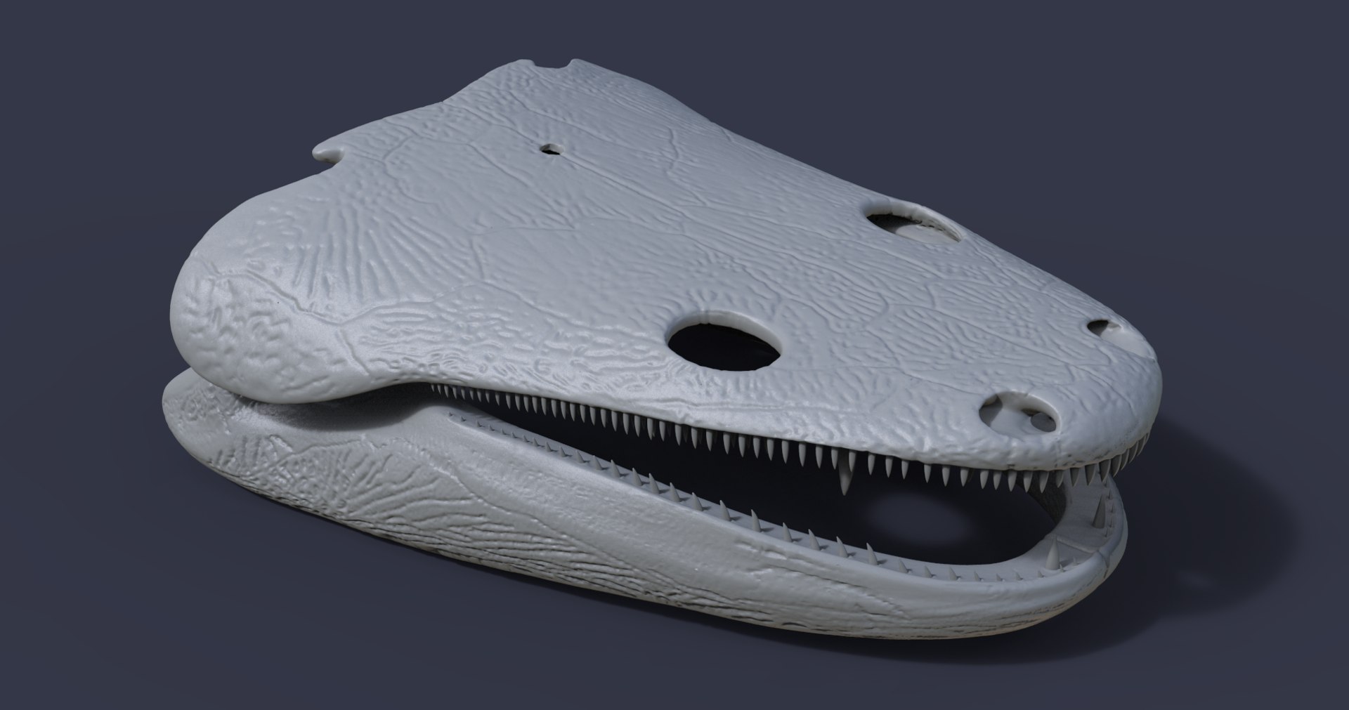 Skull Metoposaurus Diagnosticus 3D Model - TurboSquid 1494804