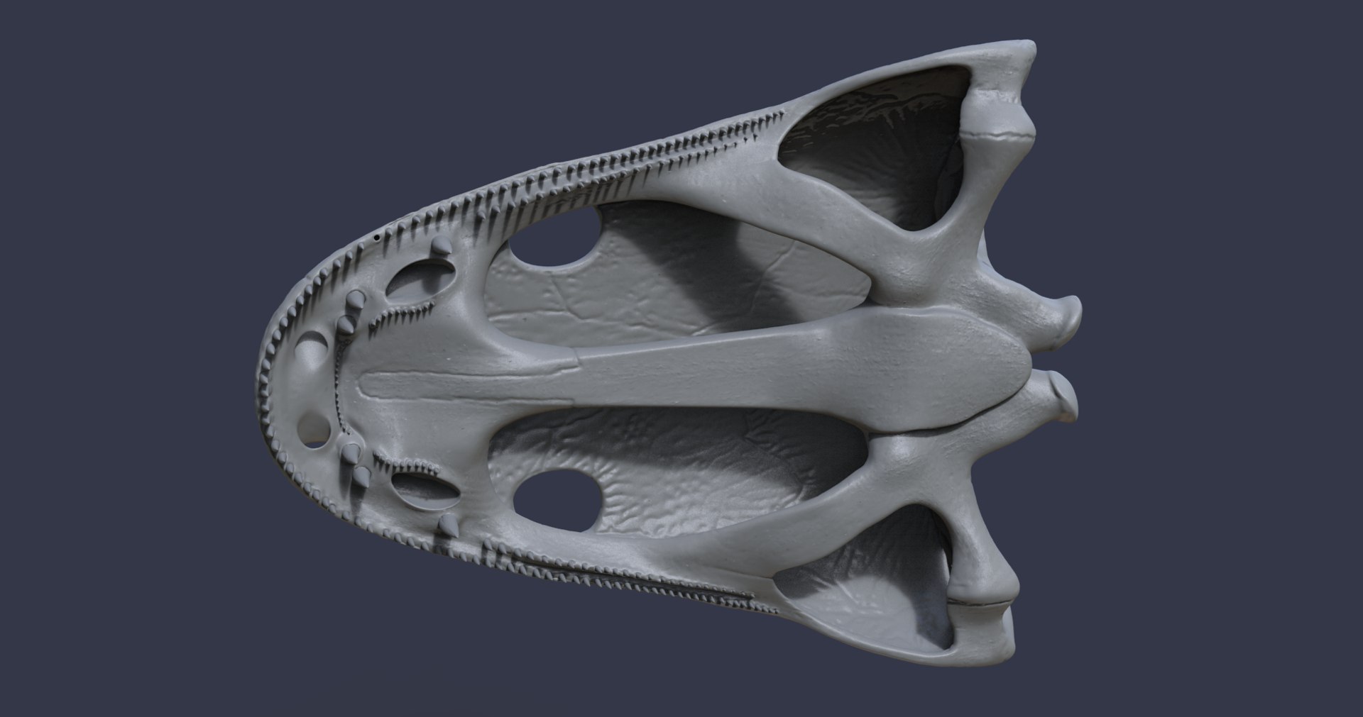 Skull Metoposaurus Diagnosticus 3D Model - TurboSquid 1494804