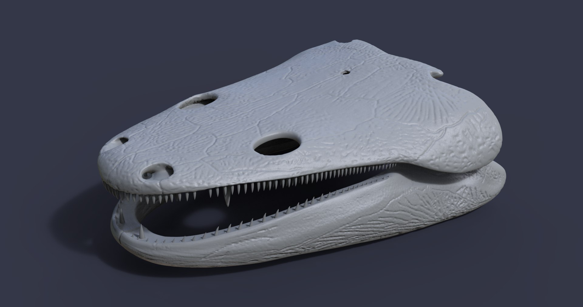 Skull Metoposaurus Diagnosticus 3D Model - TurboSquid 1494804