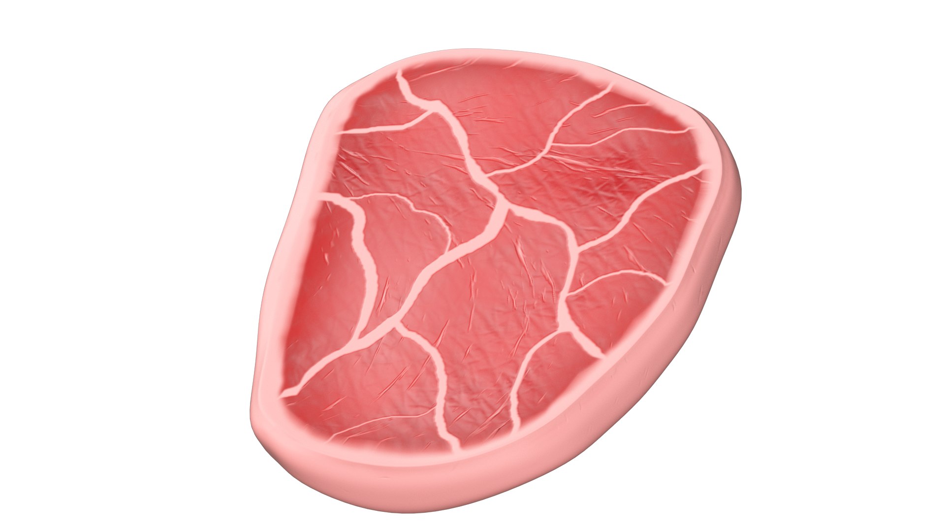 3D Cartoon Meat Model - TurboSquid 2061648