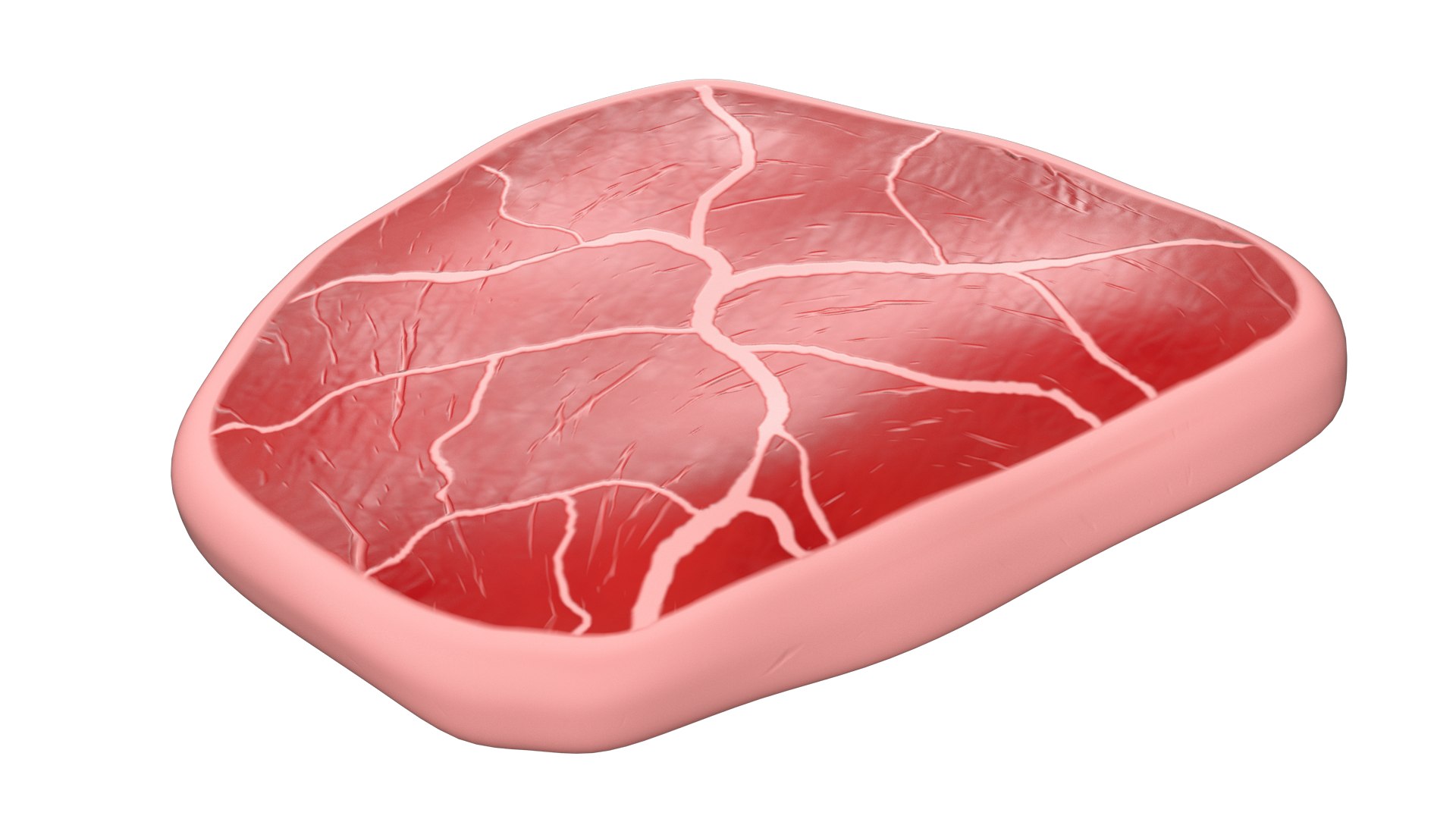 3D Cartoon Meat Model - TurboSquid 2061648