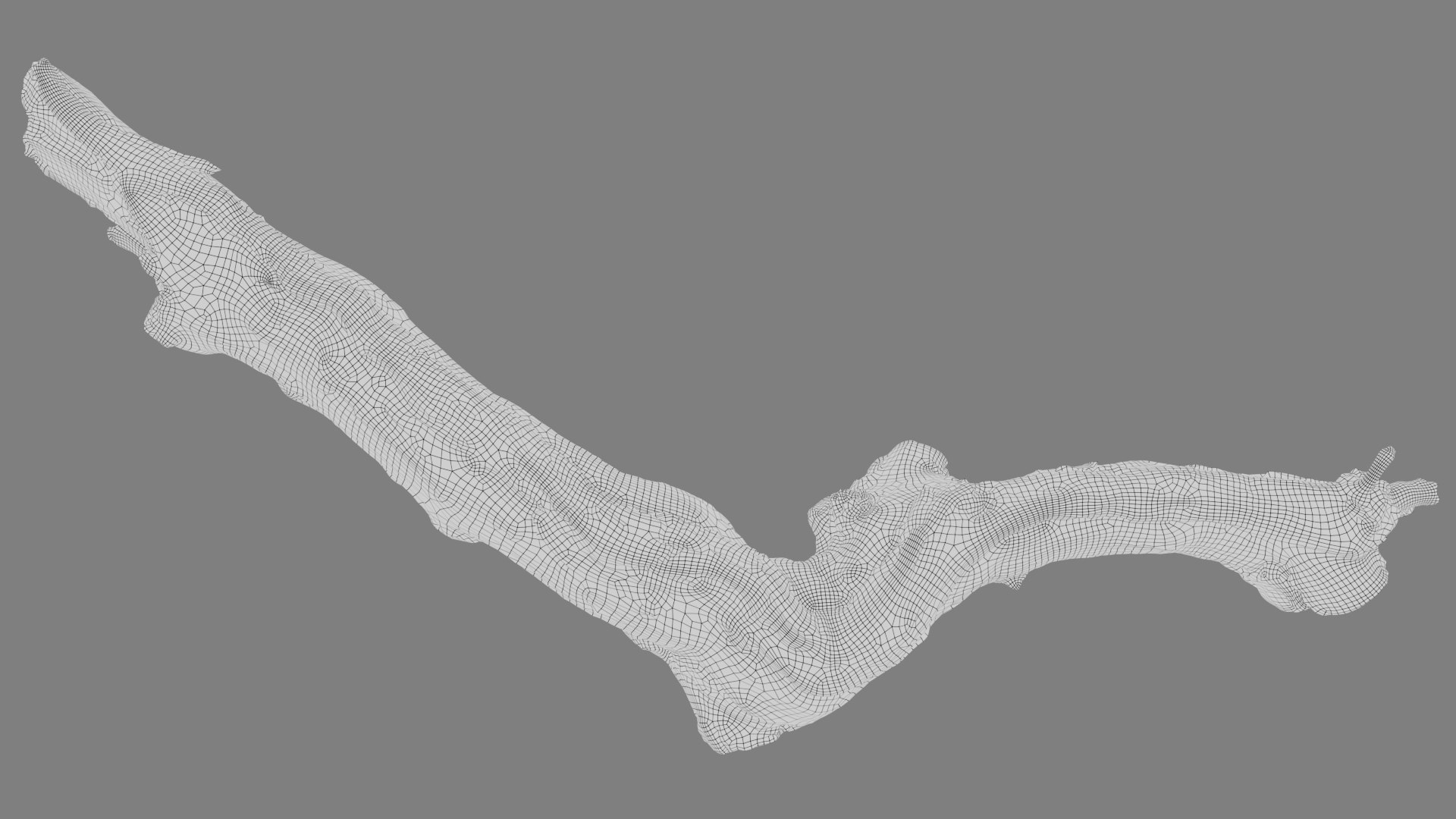 Grapevine Bark Collection StemCell 3D Model - TurboSquid 2295476