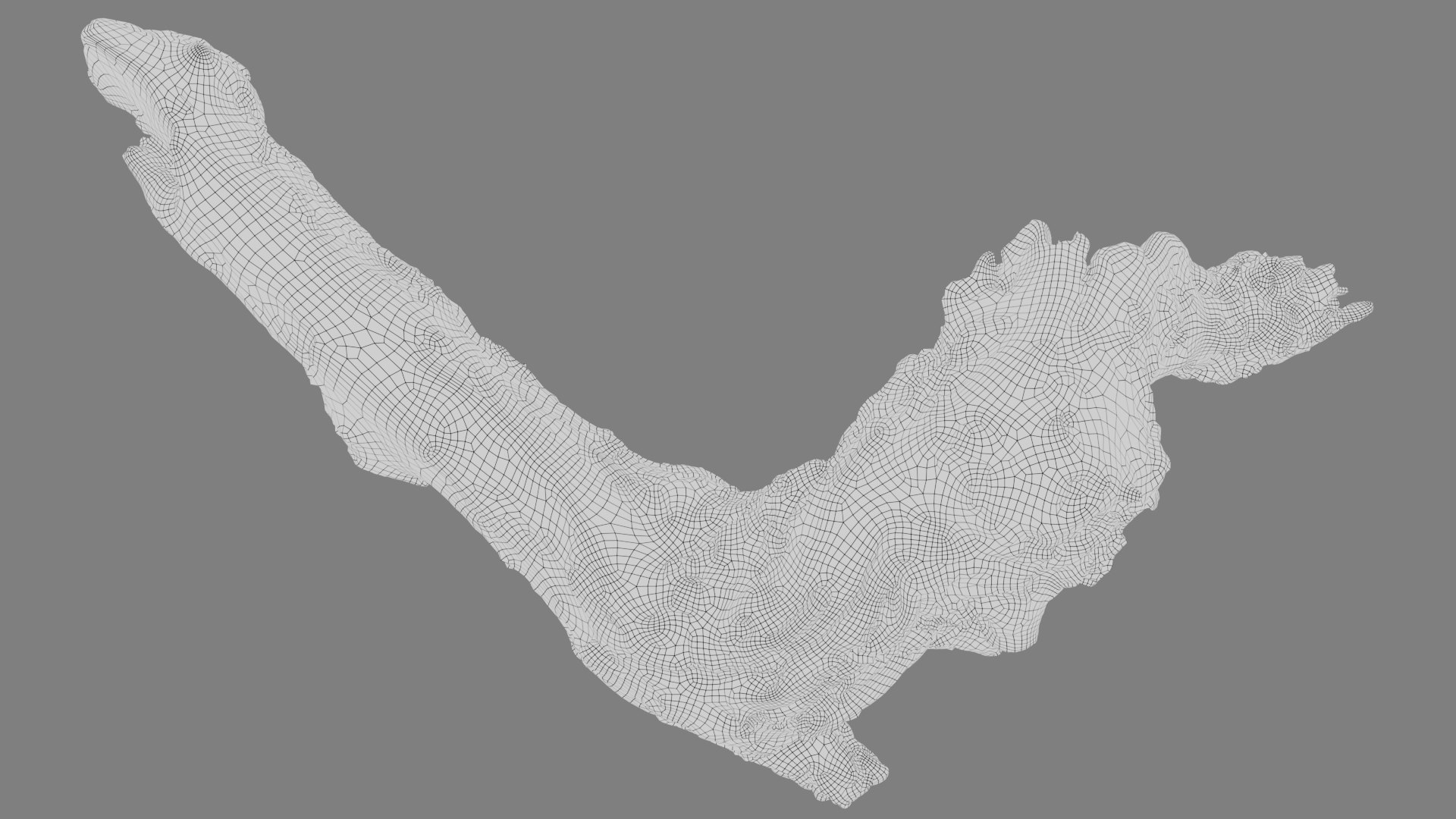 Grapevine Bark Collection StemCell 3D Model - TurboSquid 2295476