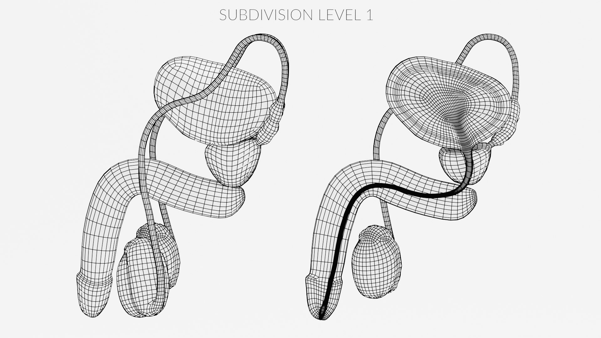 3D Male Reproductive Set - TurboSquid 1782878