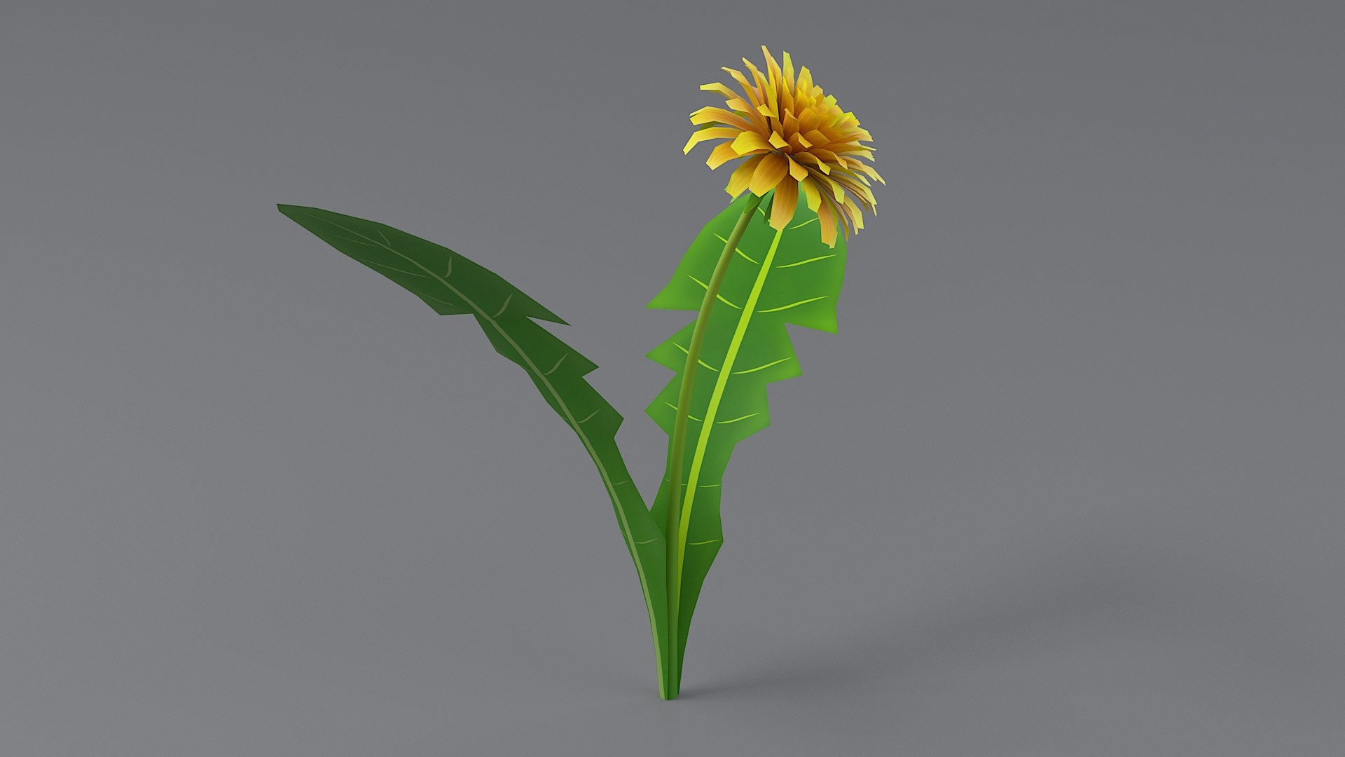 Cartoon Dandelion 01 Model - TurboSquid 2048028