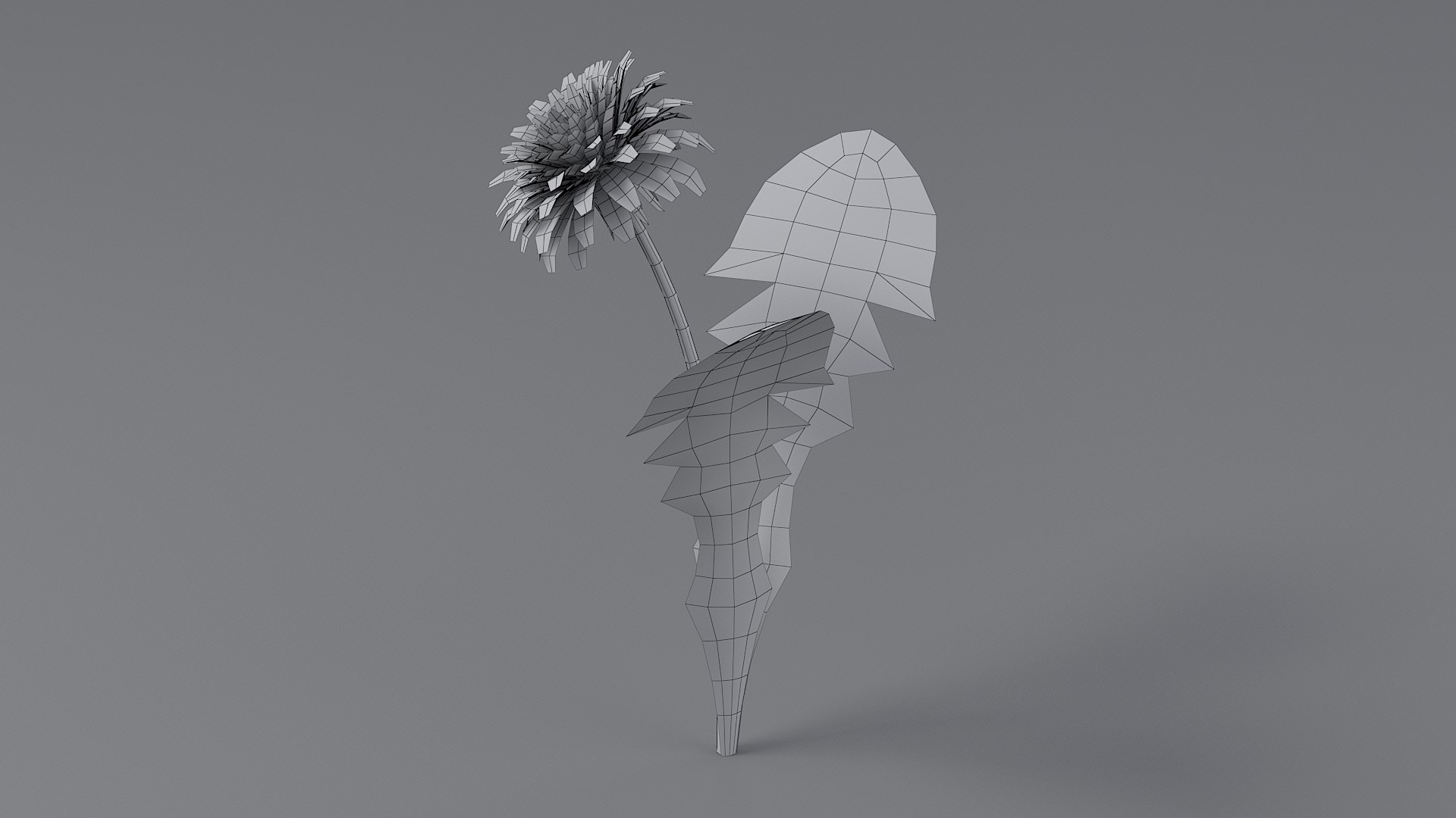 Cartoon Dandelion 01 Model - TurboSquid 2048028