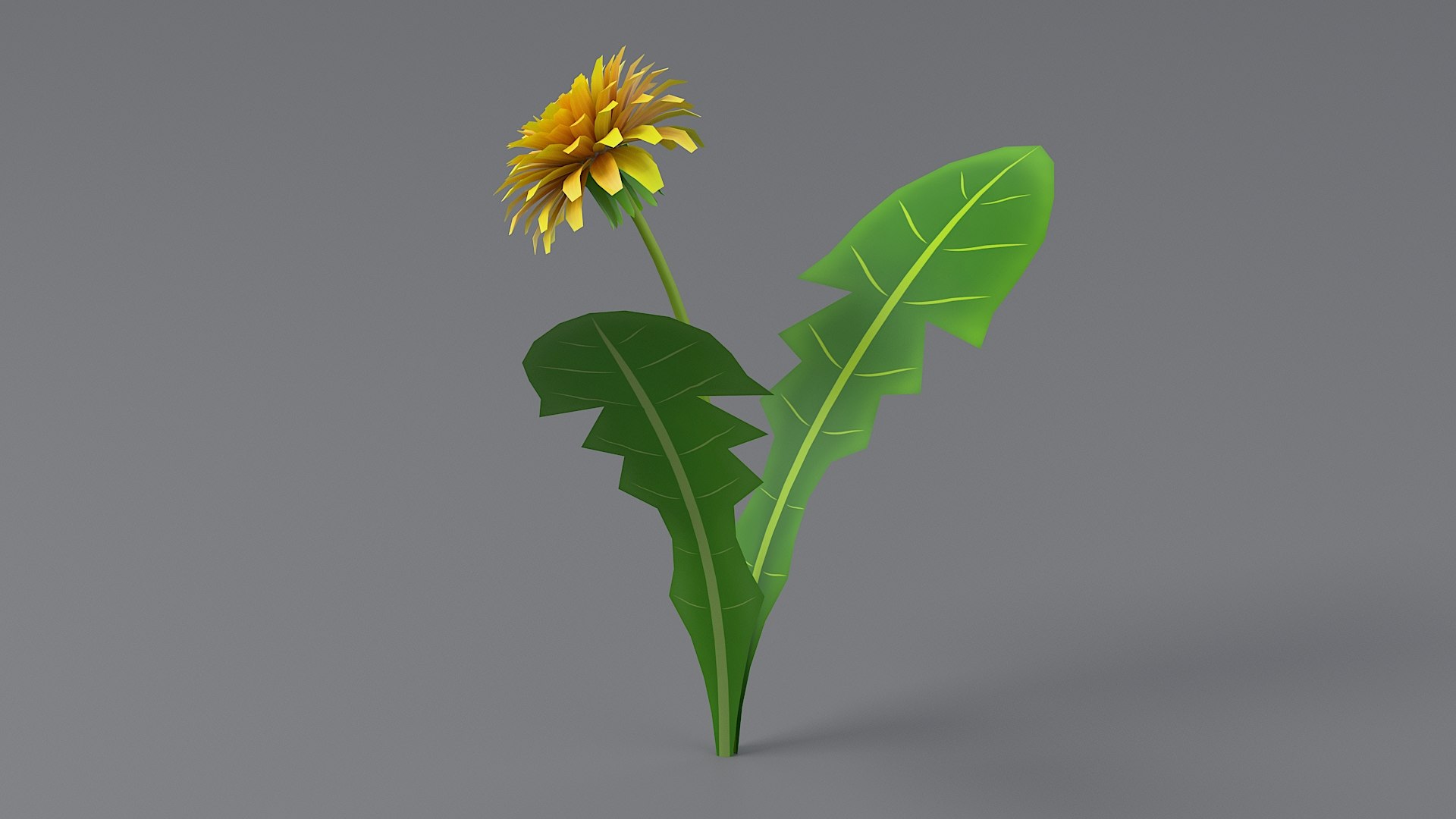 Cartoon Dandelion 01 Model - TurboSquid 2048028