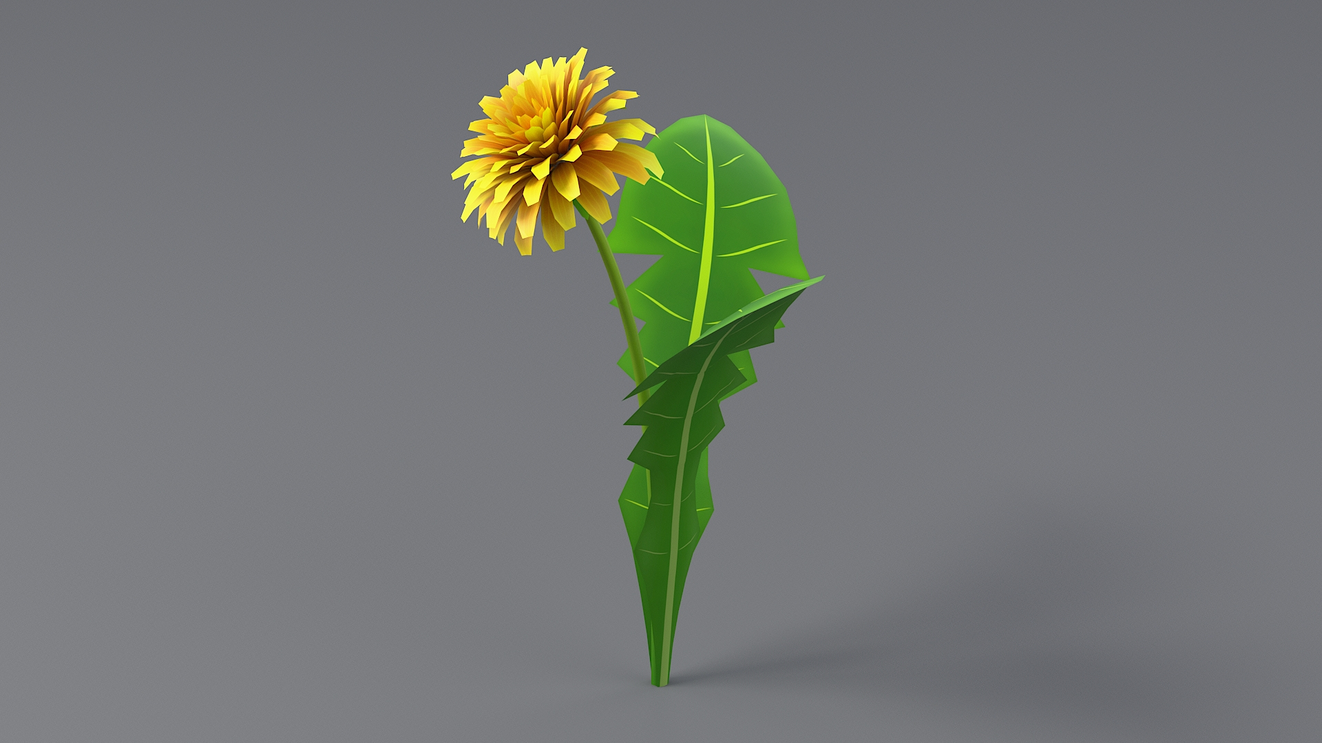 Cartoon Dandelion 01 Model - TurboSquid 2048028