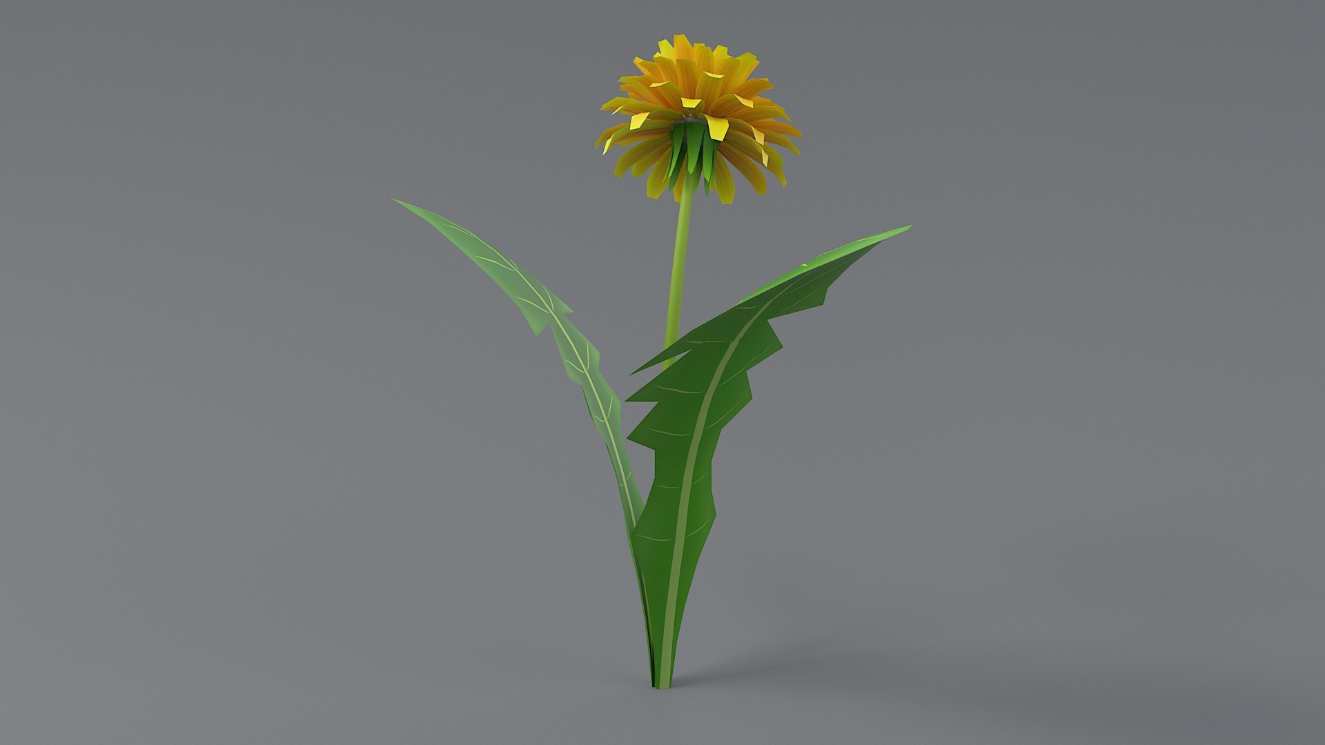 Cartoon Dandelion 01 Model - TurboSquid 2048028