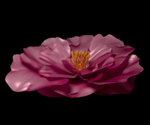 Flower 3D model - TurboSquid 1465319