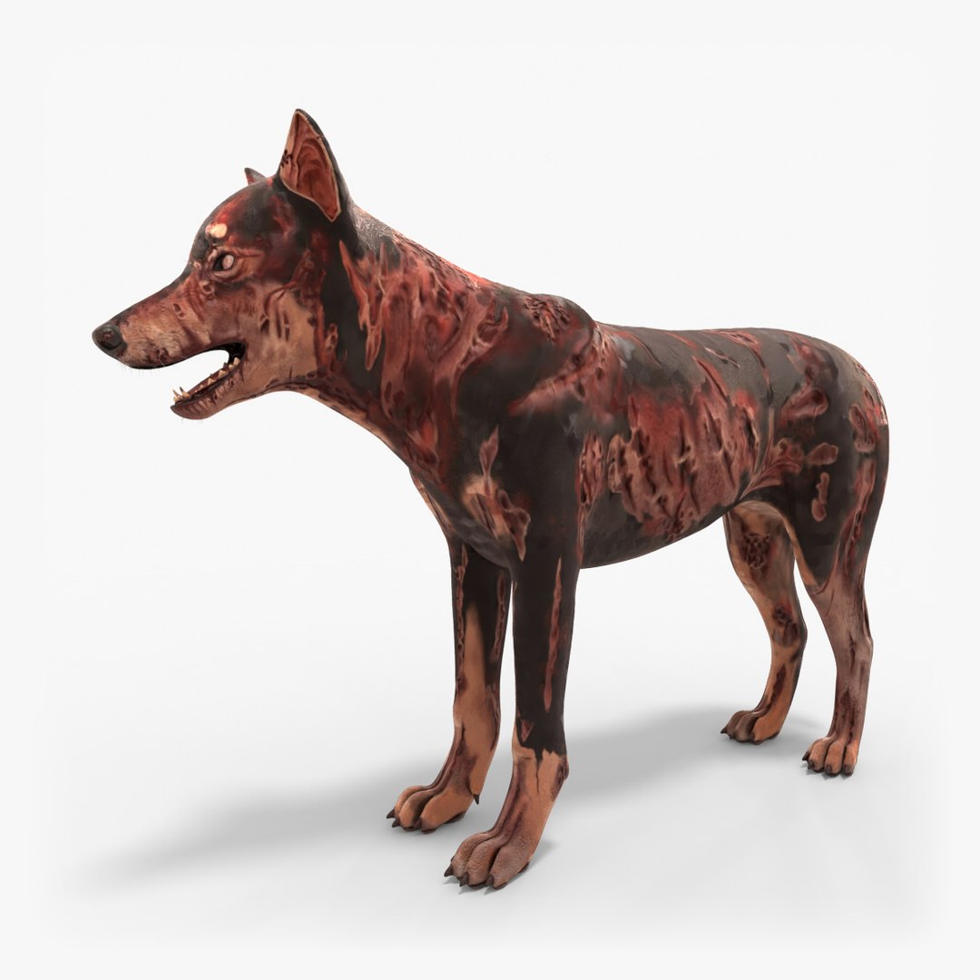 Zombie Dog with Fur 3D model - TurboSquid 2148348