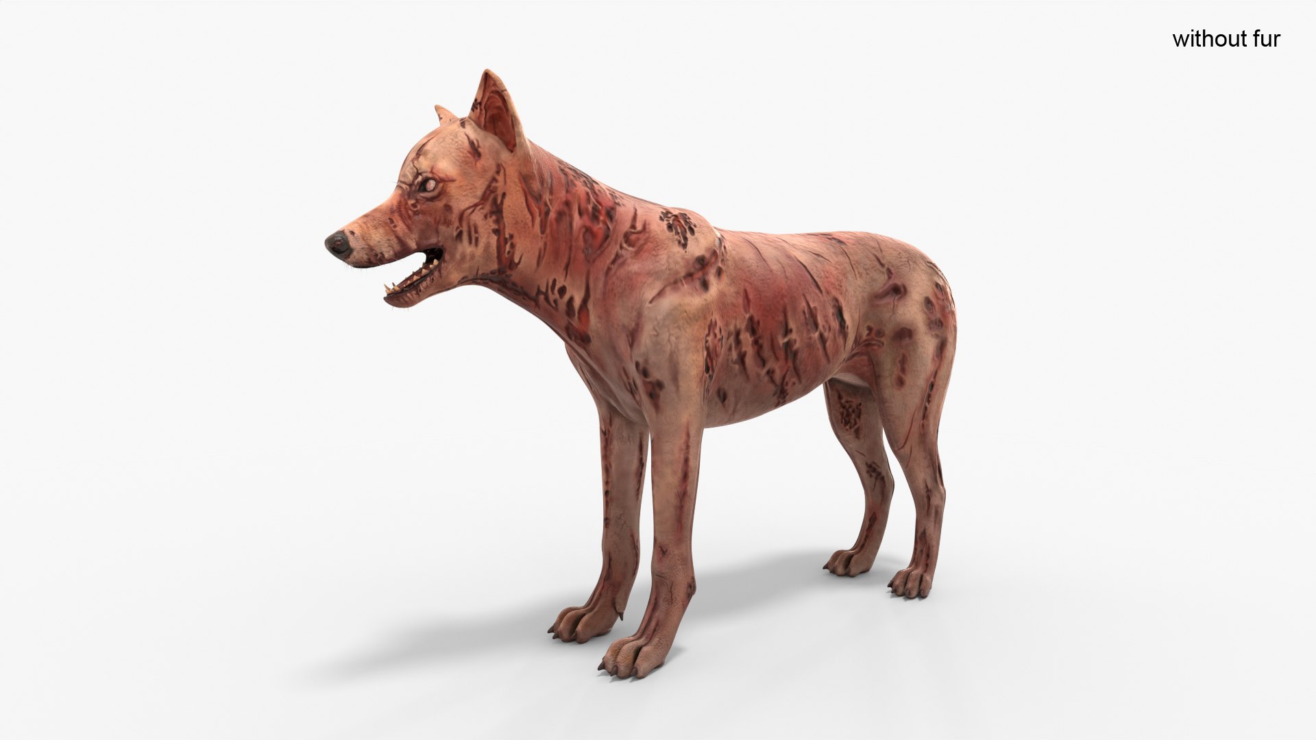 Zombie Dog Fur 3D model - TurboSquid 2148348
